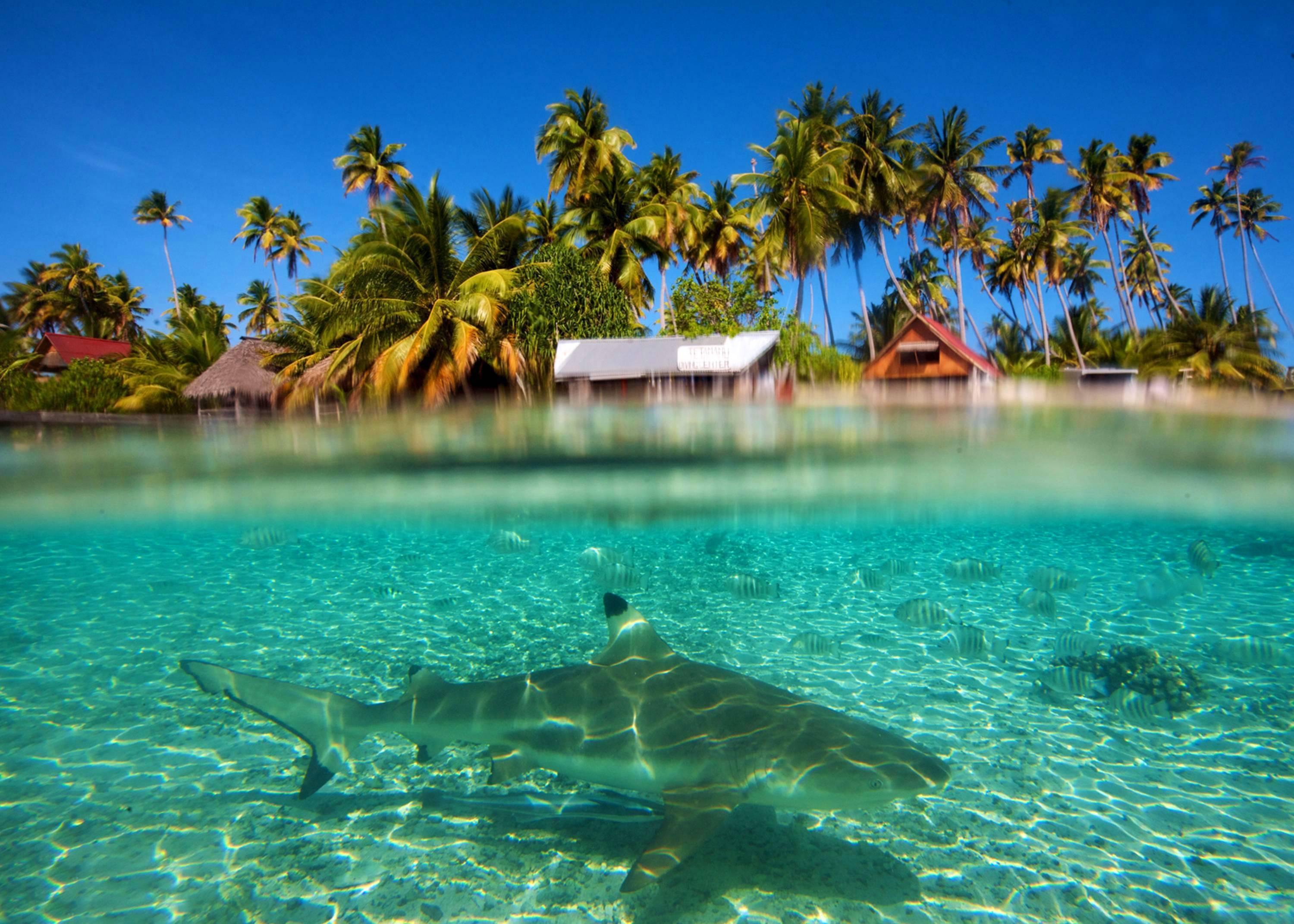 South Pacific Wallpapers - Top Free South Pacific Backgrounds ...