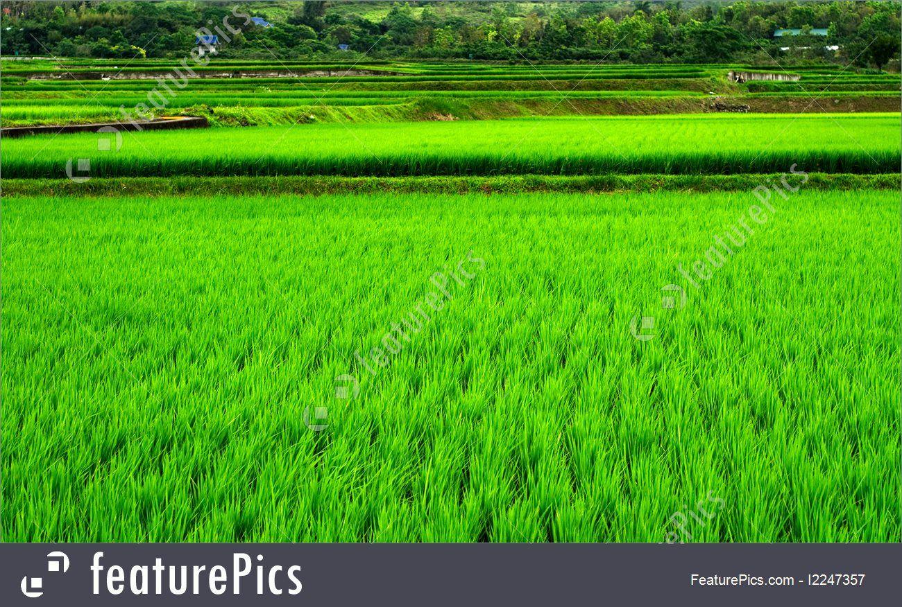 Agronomy Wallpapers - Top Free Agronomy Backgrounds - WallpaperAccess