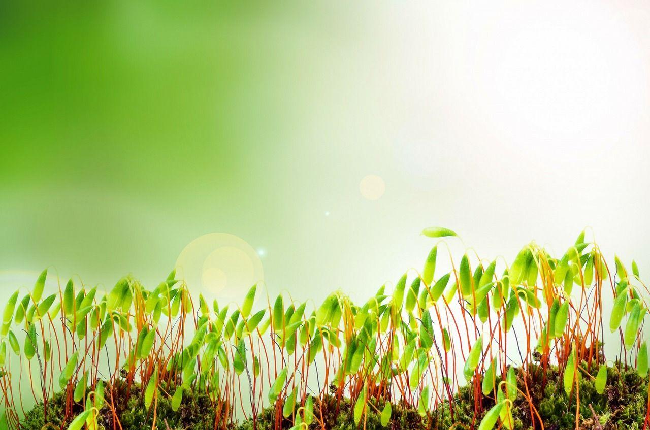 Agronomy Wallpapers - Top Free Agronomy Backgrounds - WallpaperAccess