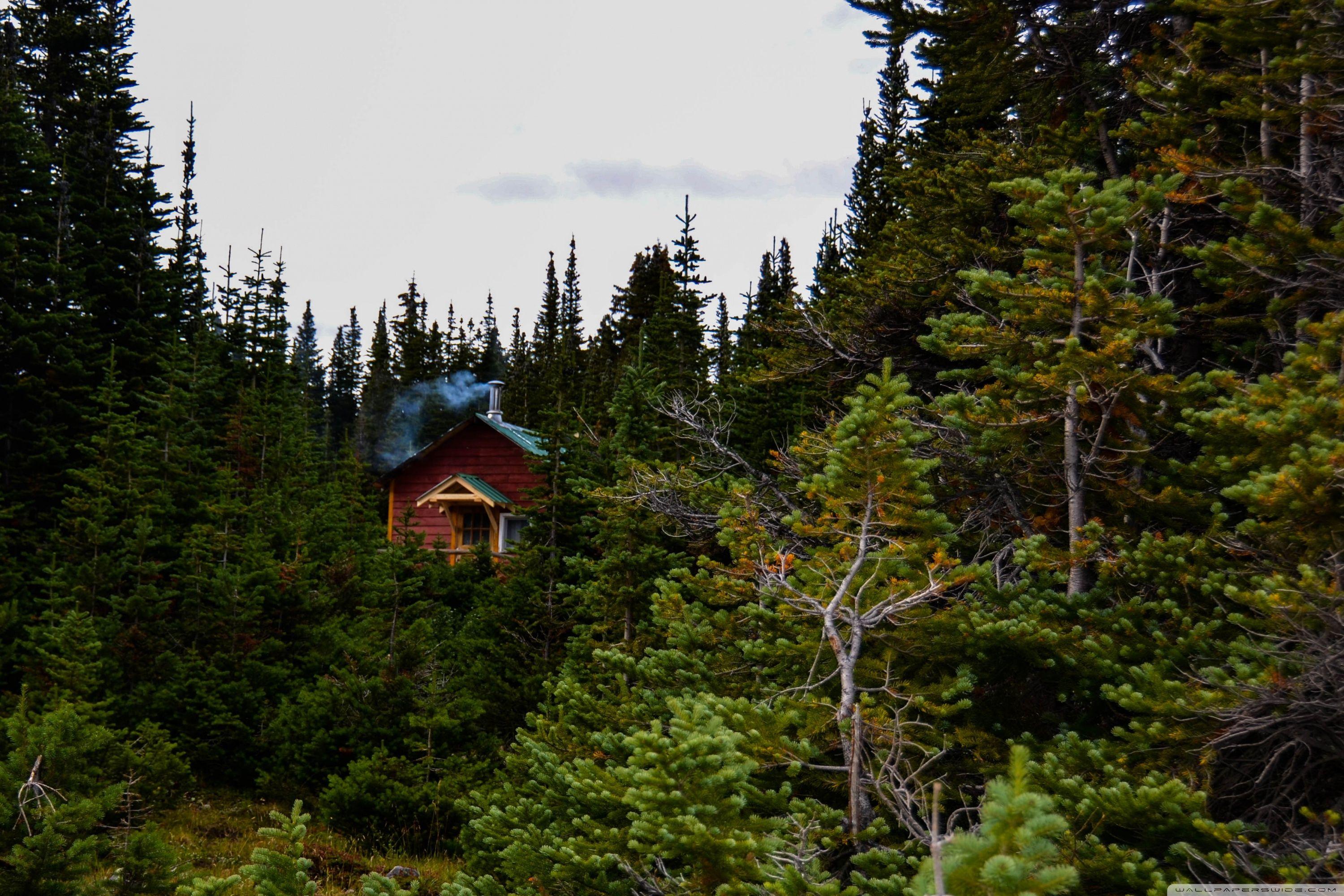 Forest Cabin Wallpapers - Top Free Forest Cabin Backgrounds ...