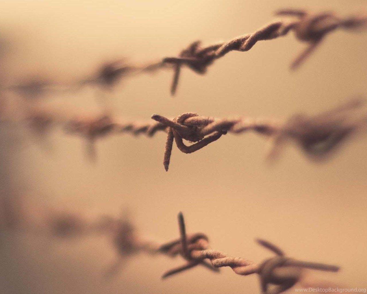 Barbed Wire Wallpapers - Top Free Barbed Wire Backgrounds - WallpaperAccess