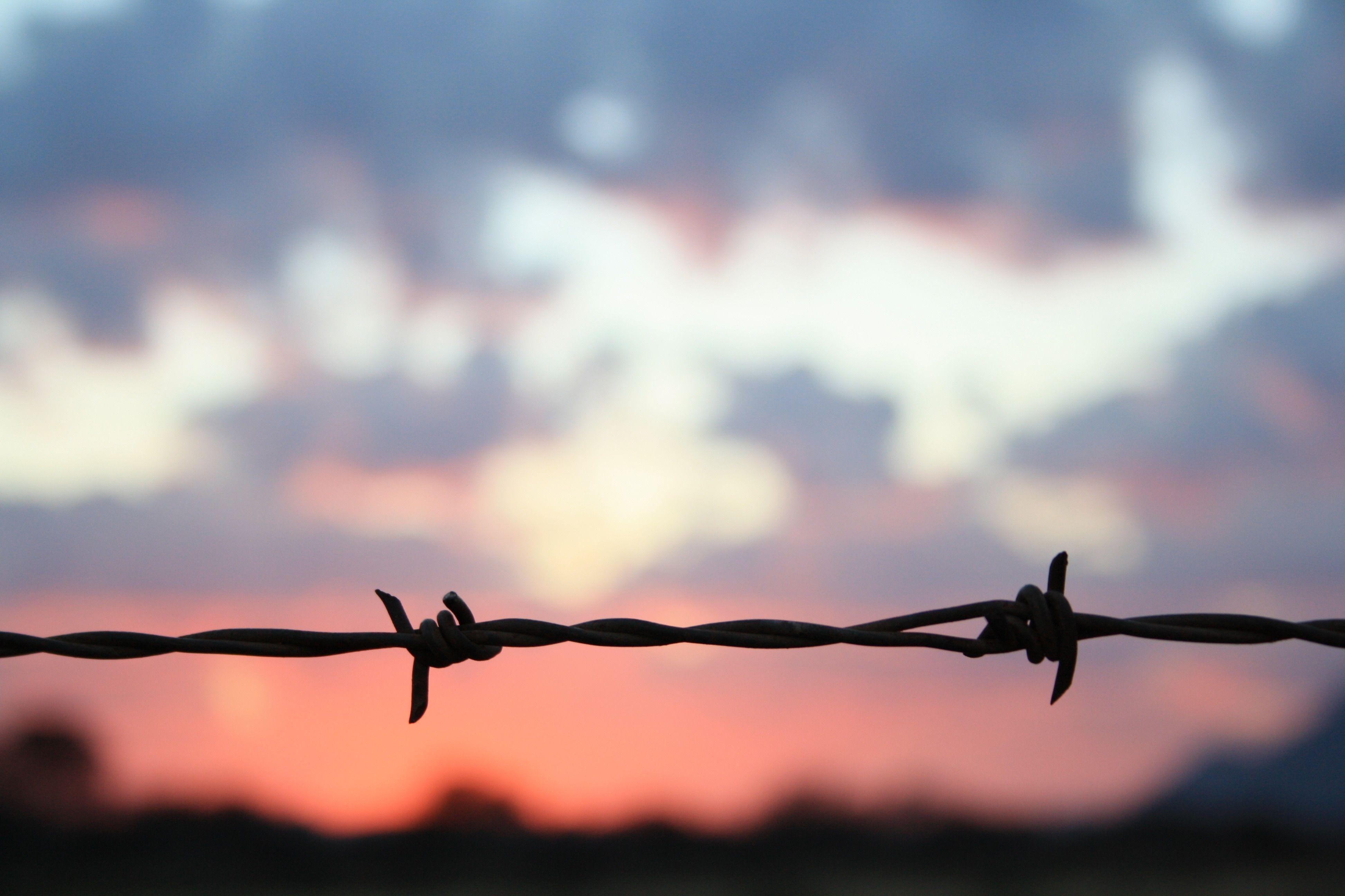 Barbed Wire Wallpapers - Top Free Barbed Wire Backgrounds - WallpaperAccess
