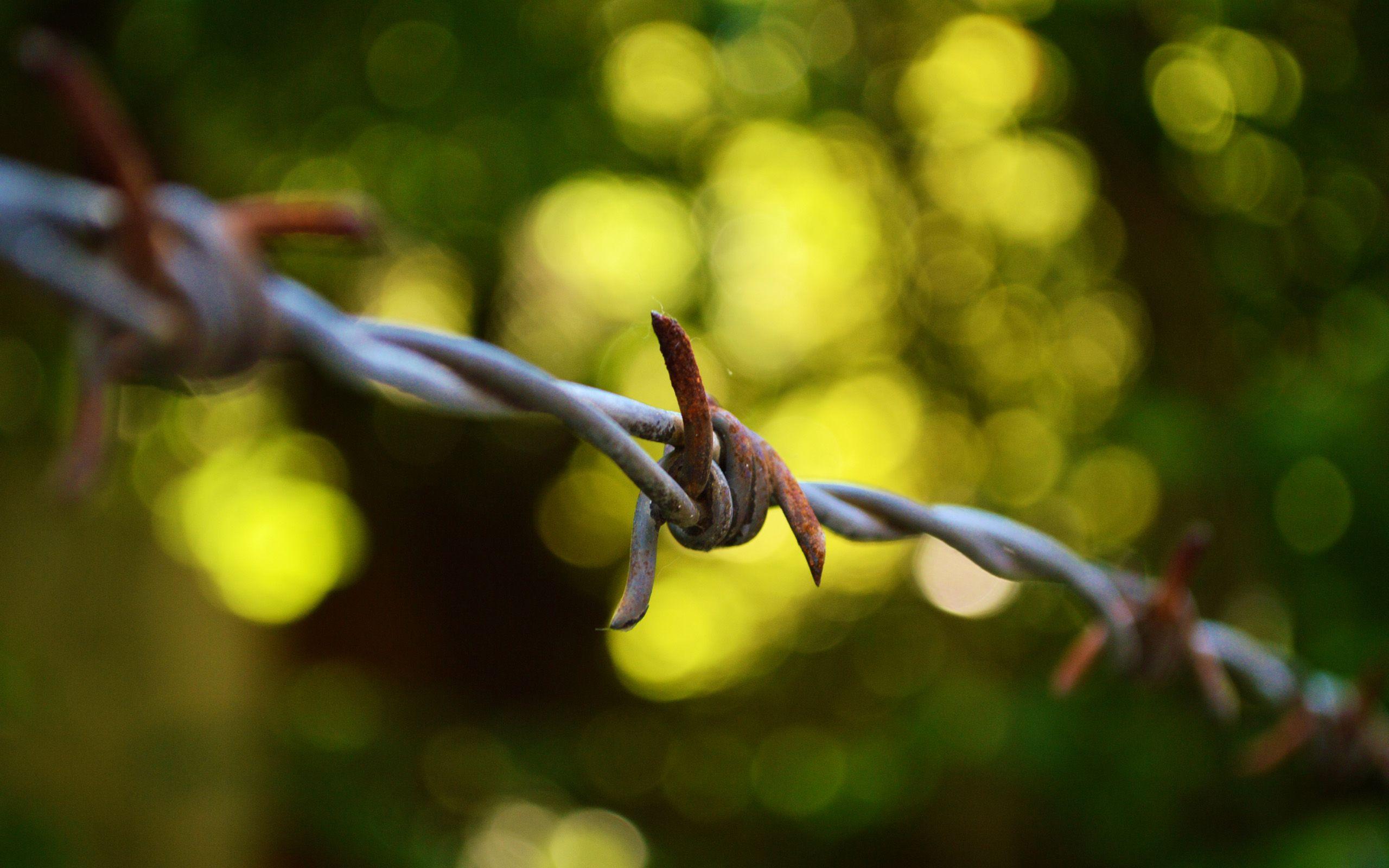 Barbed Wire Wallpapers - Top Free Barbed Wire Backgrounds - WallpaperAccess