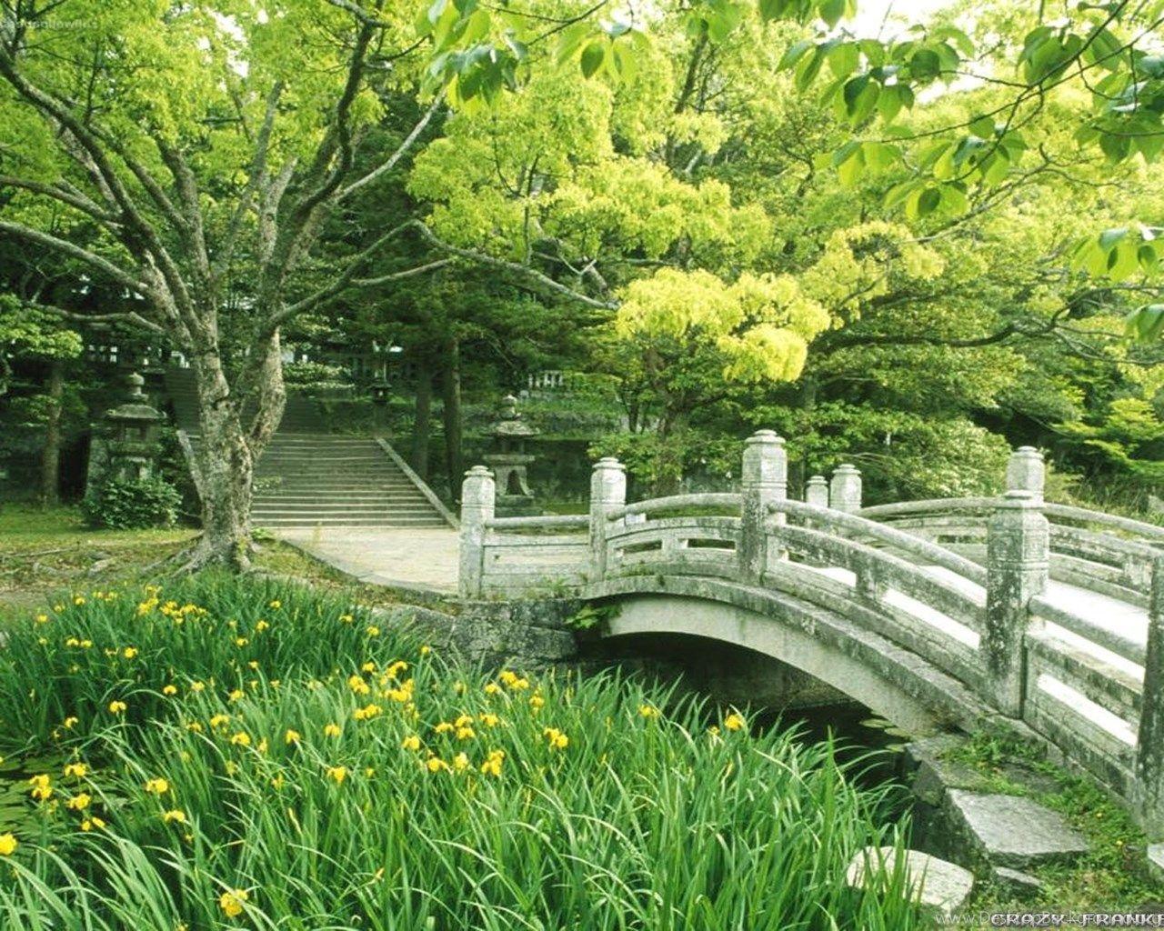 Japan Summer Wallpapers - Top Free Japan Summer Backgrounds ...