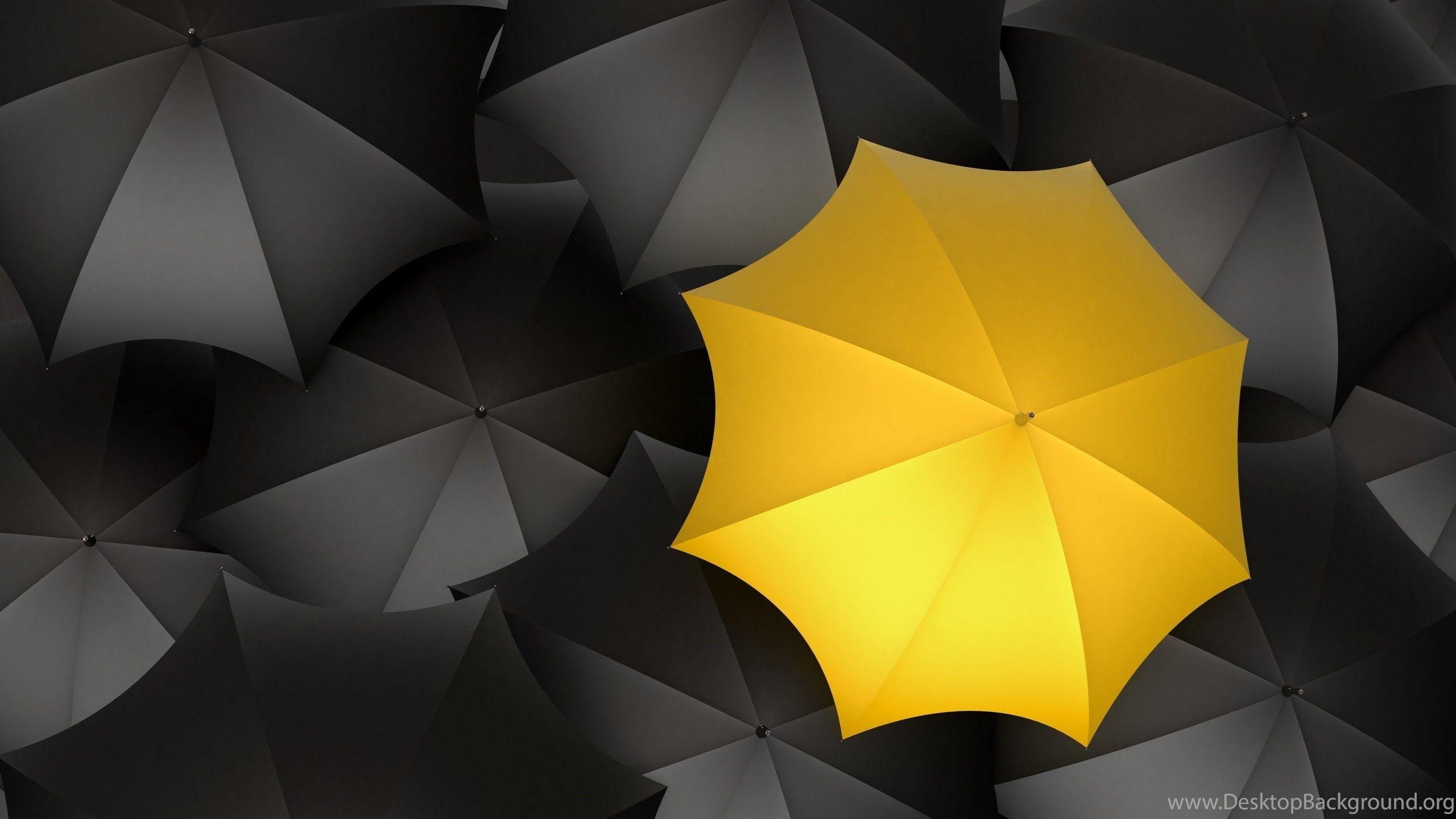 2560X1440 Black Yellow Wallpapers - Top Free 2560X1440 Black Yellow Backgrounds - WallpaperAccess