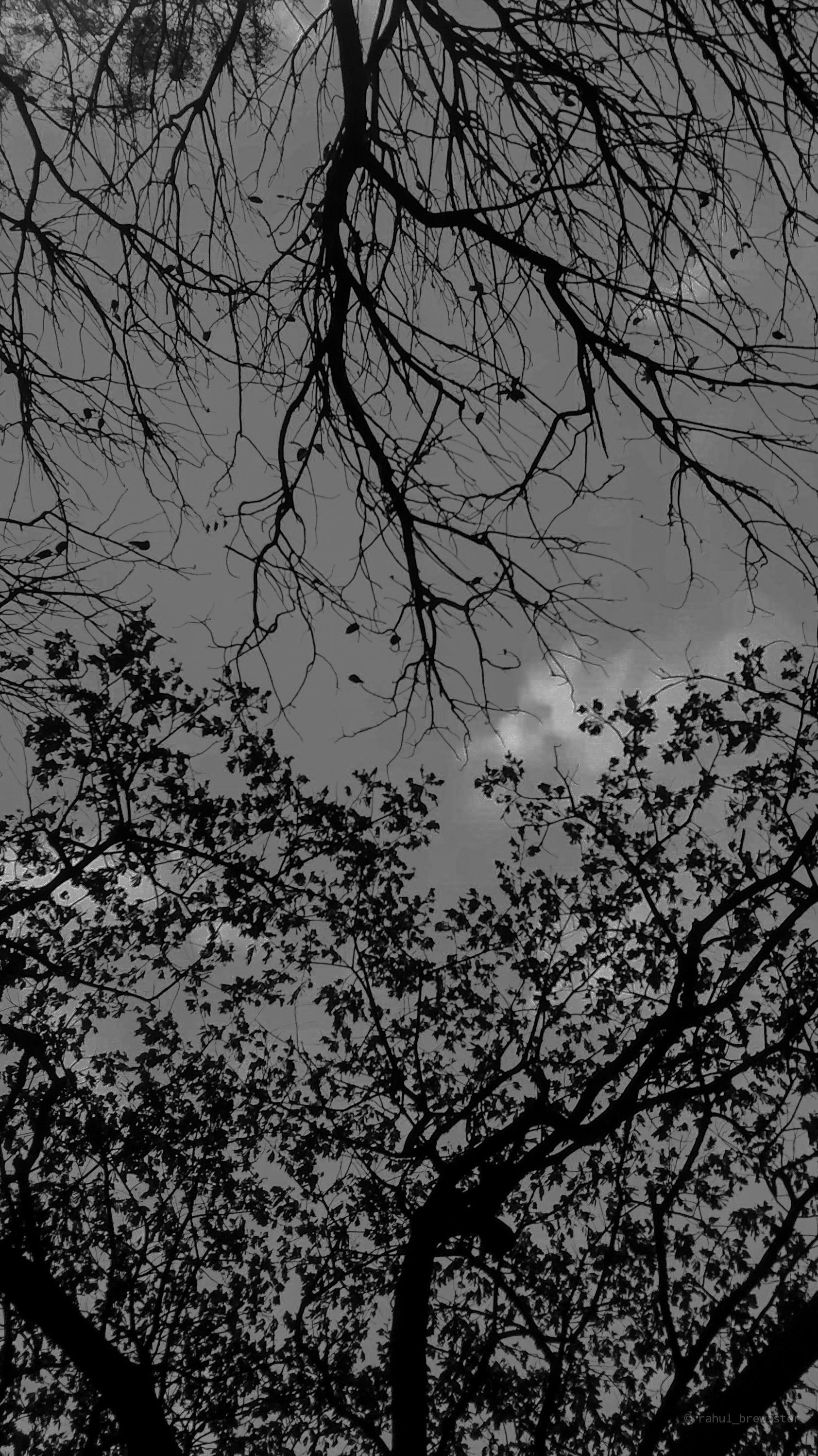 Irony Wallpapers - Top Free Irony Backgrounds - WallpaperAccess