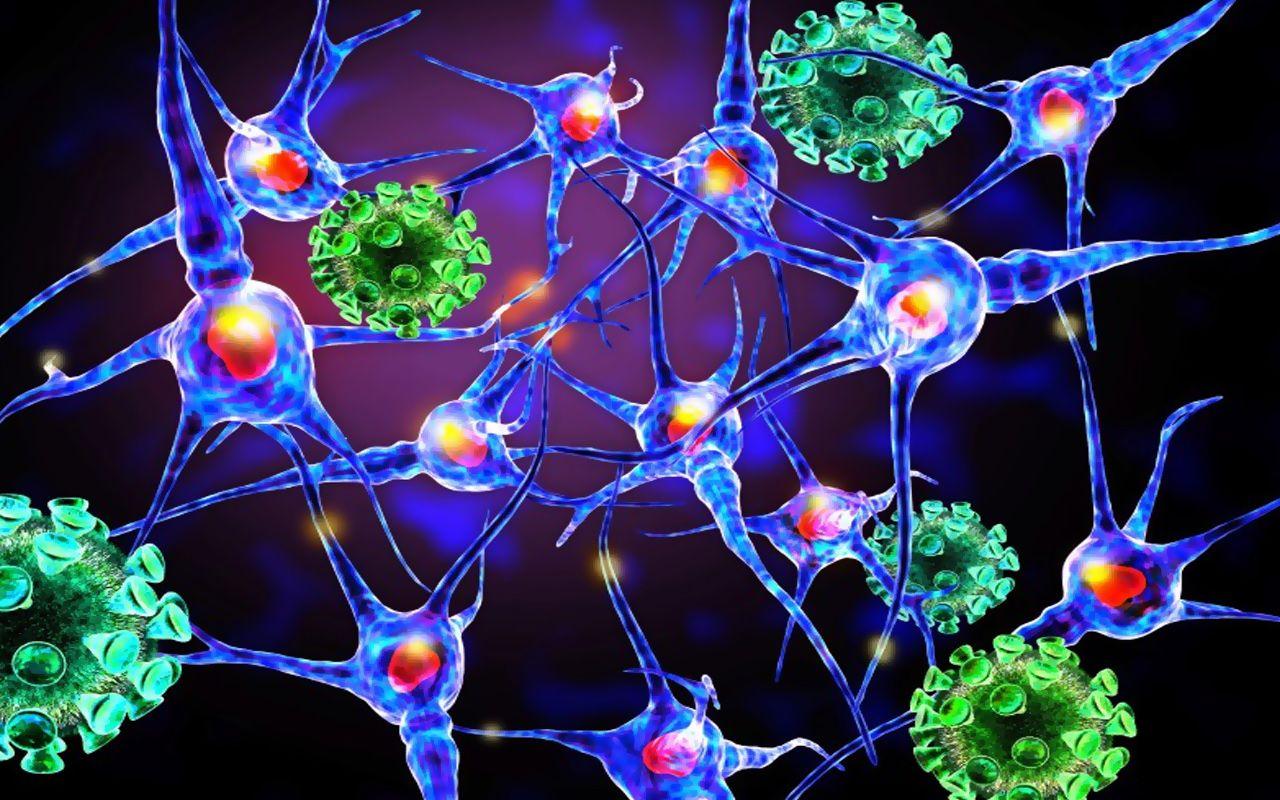 Immunity Wallpapers - Top Free Immunity Backgrounds - WallpaperAccess