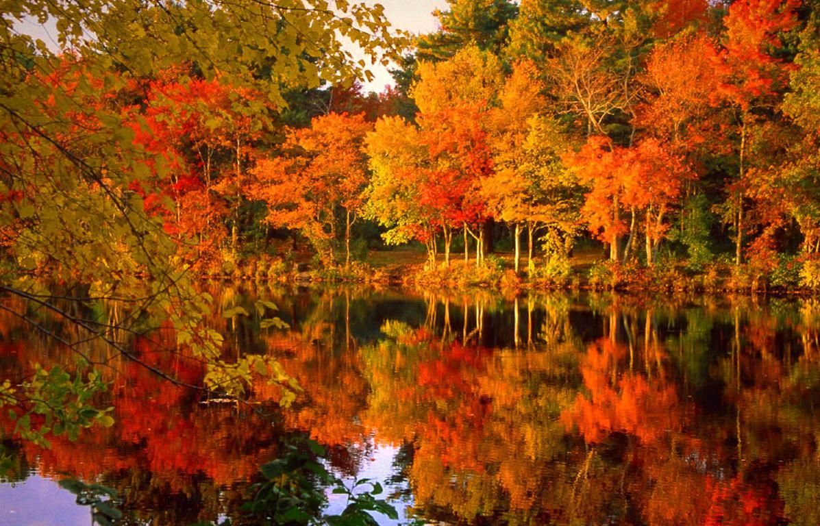 Beautiful Things Wallpapers - Top Free Beautiful Things Backgrounds ...