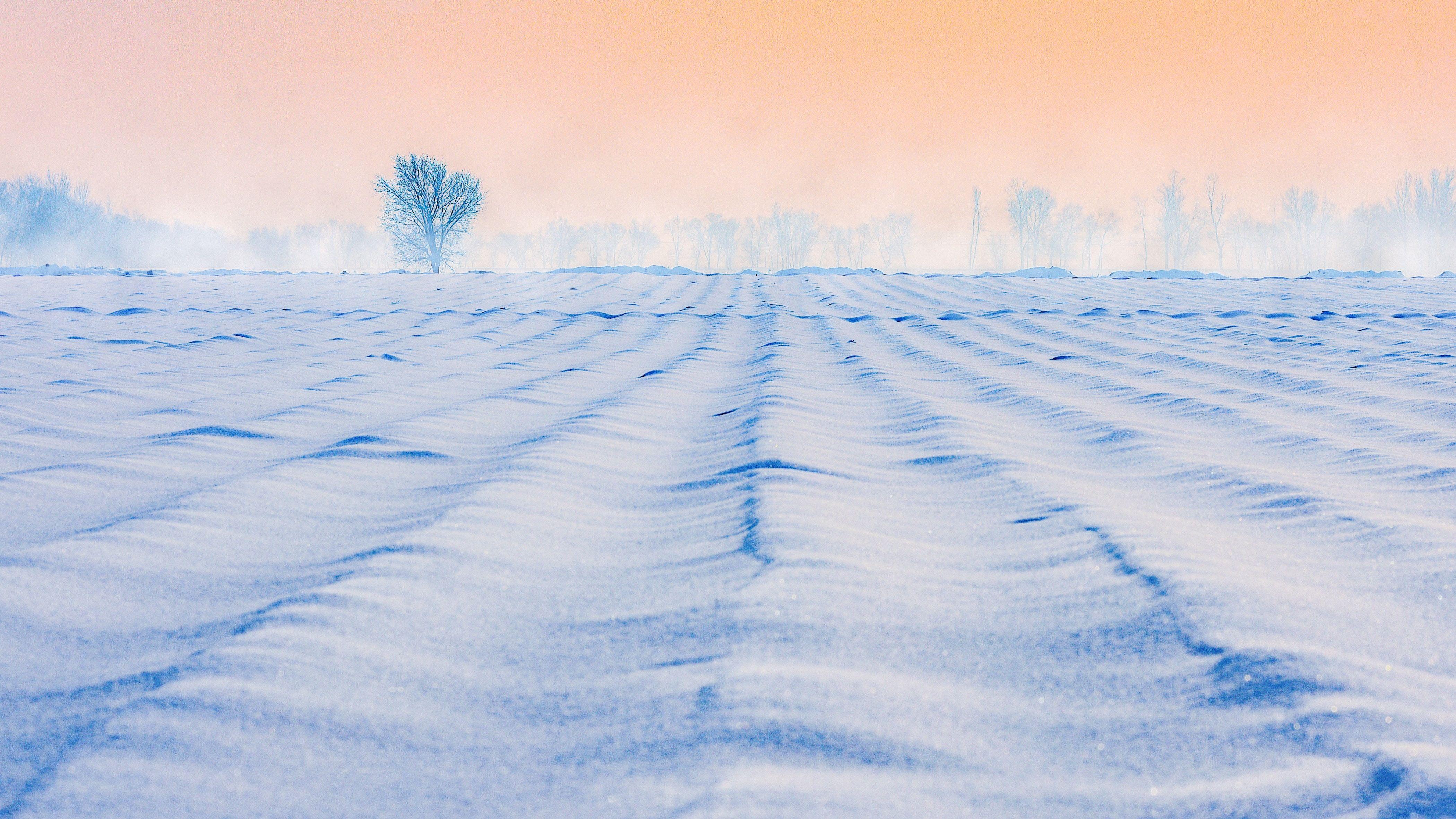 Pastel Winter Wallpapers - Top Free Pastel Winter Backgrounds ...
