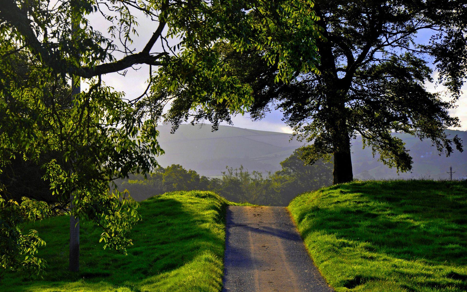 Morning Nature Wallpapers - Top Free Morning Nature Backgrounds ...