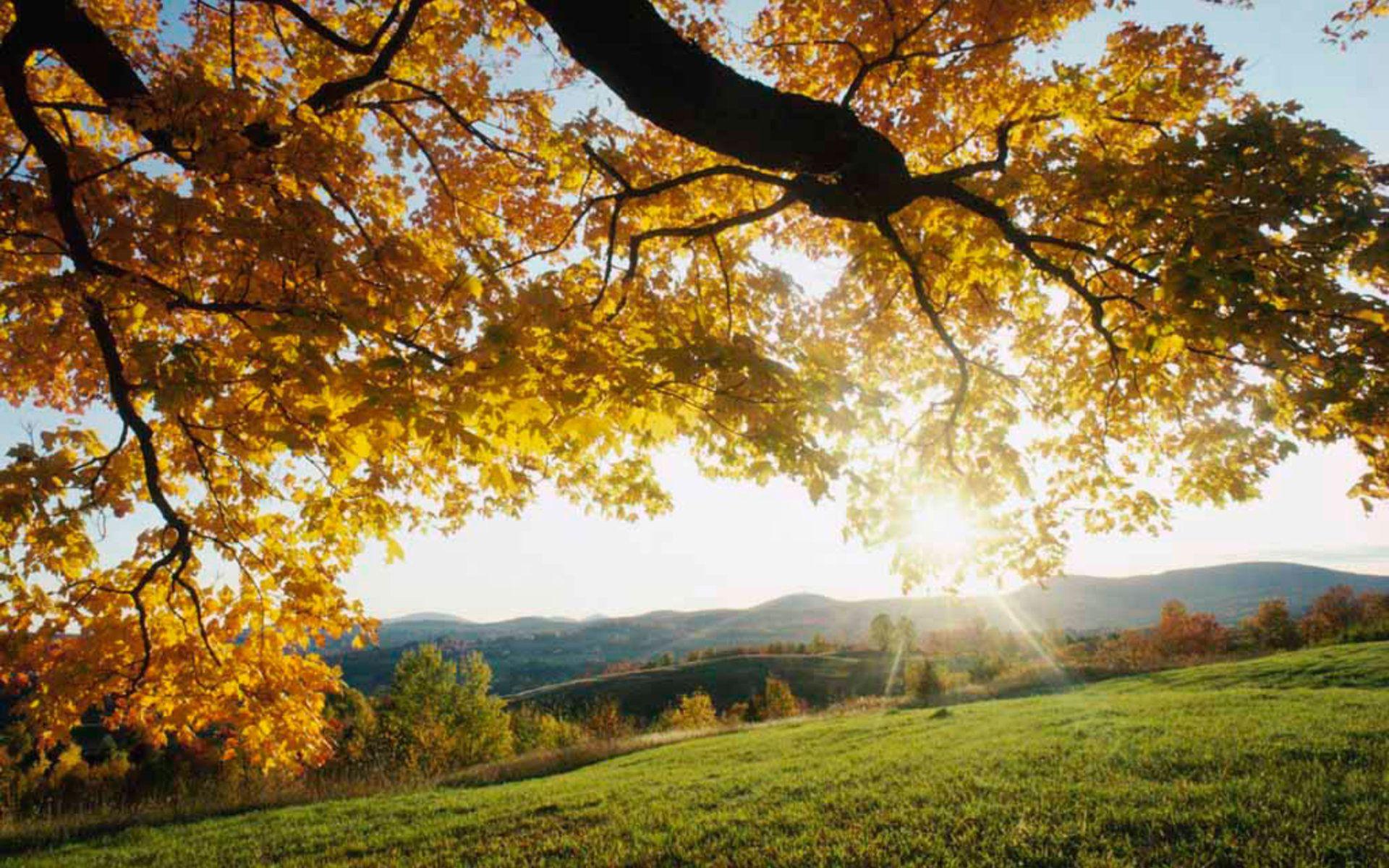 Morning Nature Wallpapers - Top Free Morning Nature Backgrounds ...