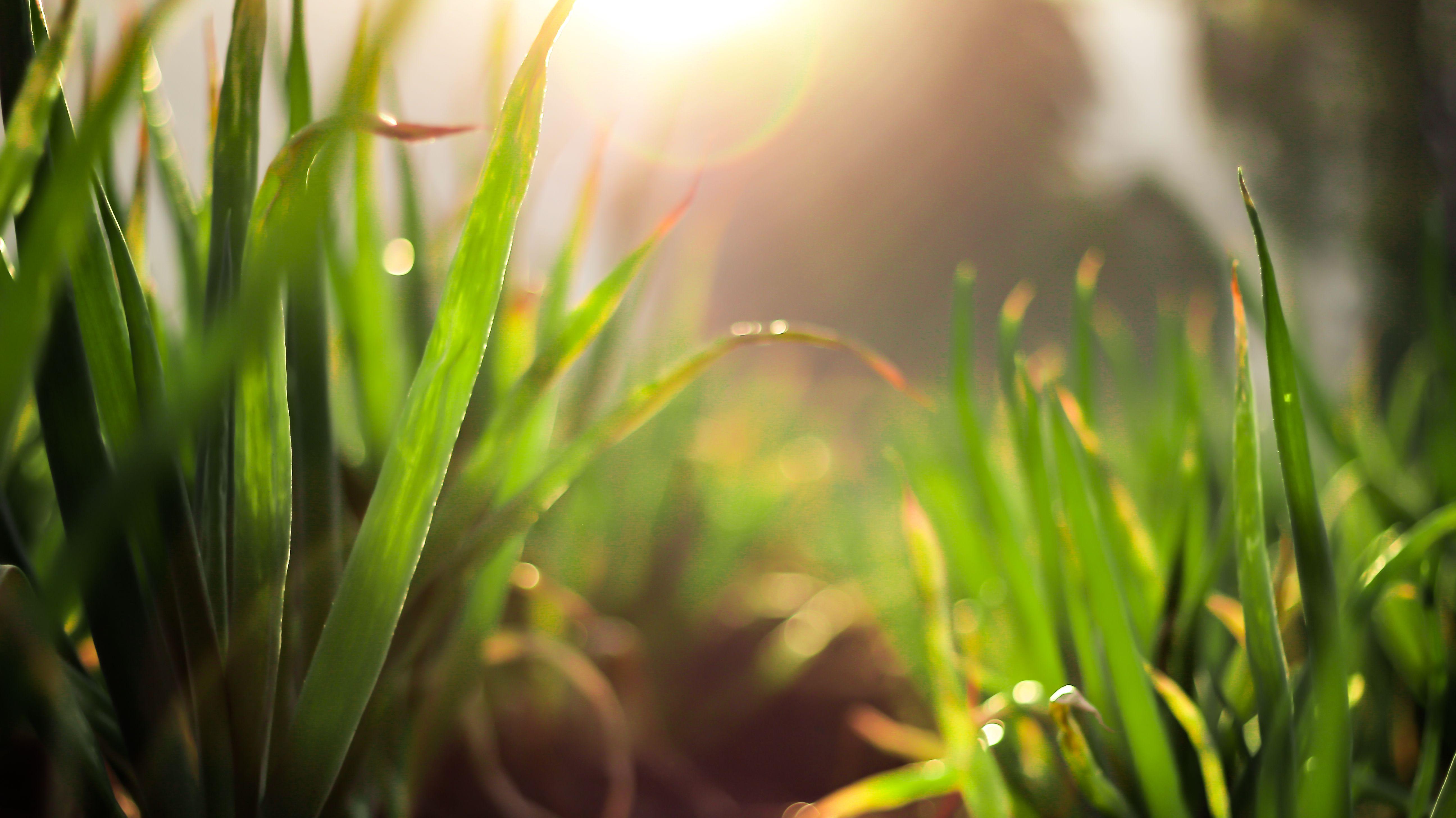 Morning Nature Wallpapers - Top Free Morning Nature Backgrounds ...