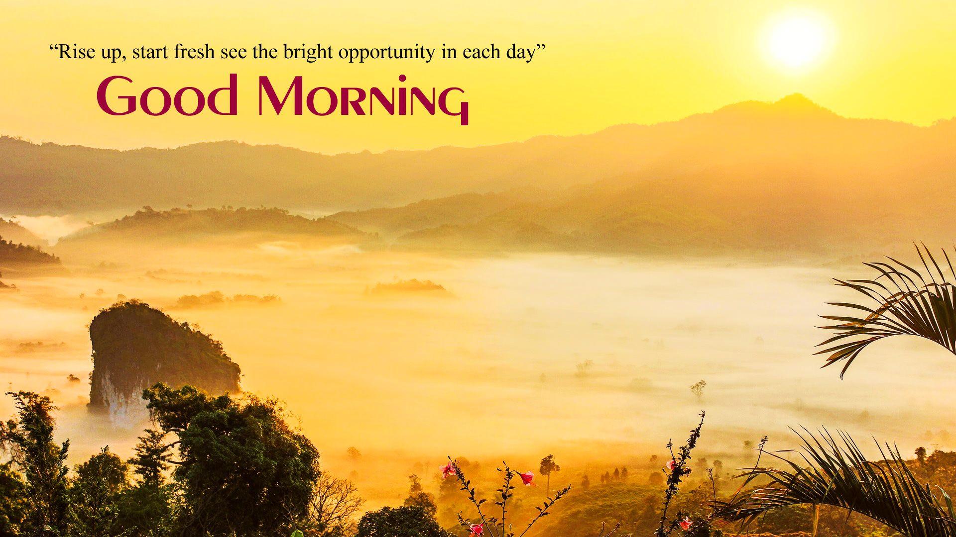 Morning Nature Wallpapers - Top Free Morning Nature Backgrounds ...