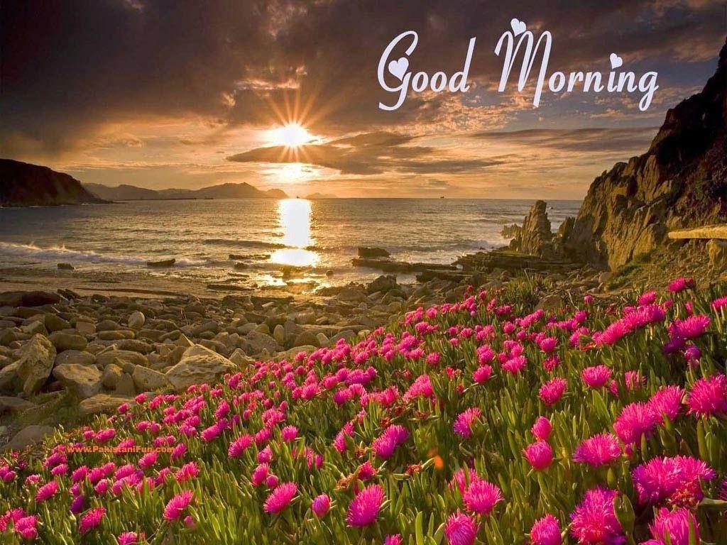 Morning Nature Wallpapers - Top Free Morning Nature Backgrounds ...