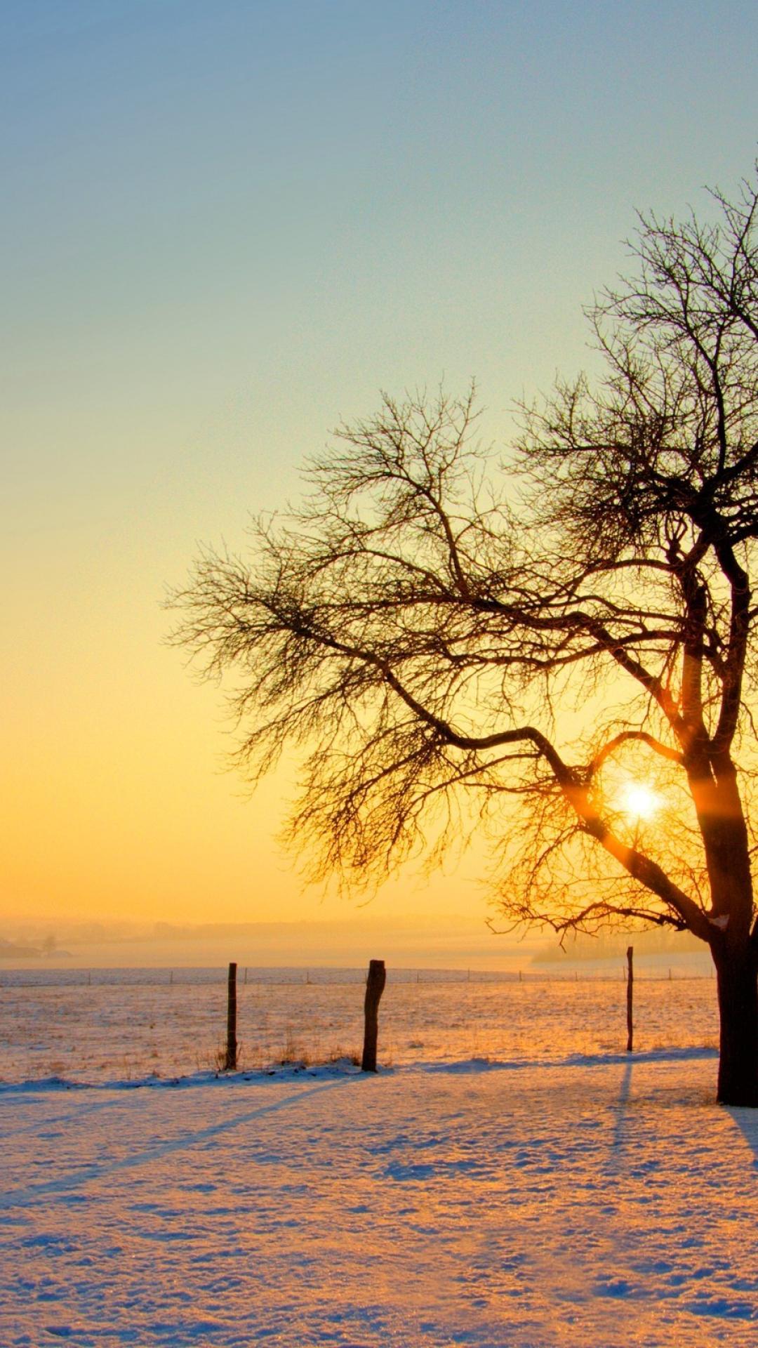 Morning Nature Wallpapers - Top Free Morning Nature Backgrounds ...