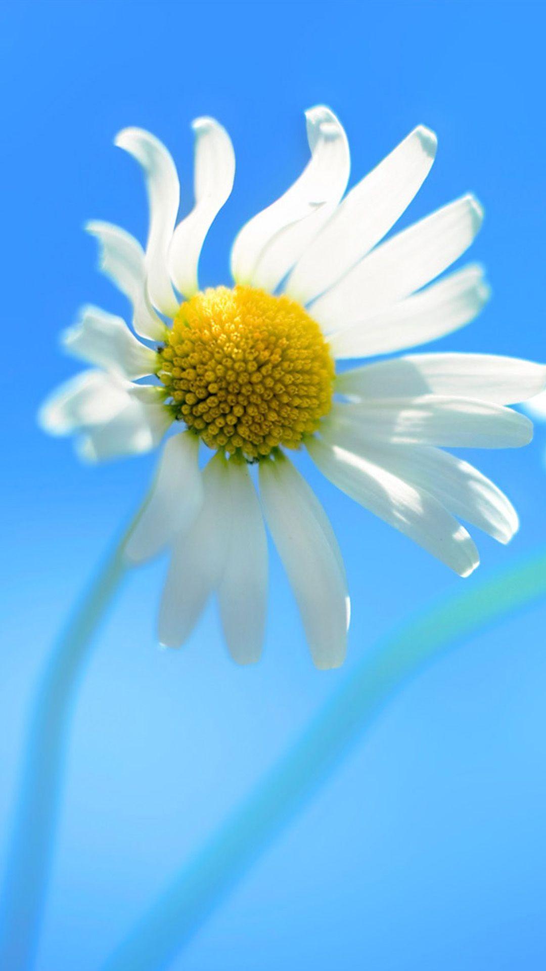 Samsung S4 Wallpapers - Top Free Samsung S4 Backgrounds - WallpaperAccess