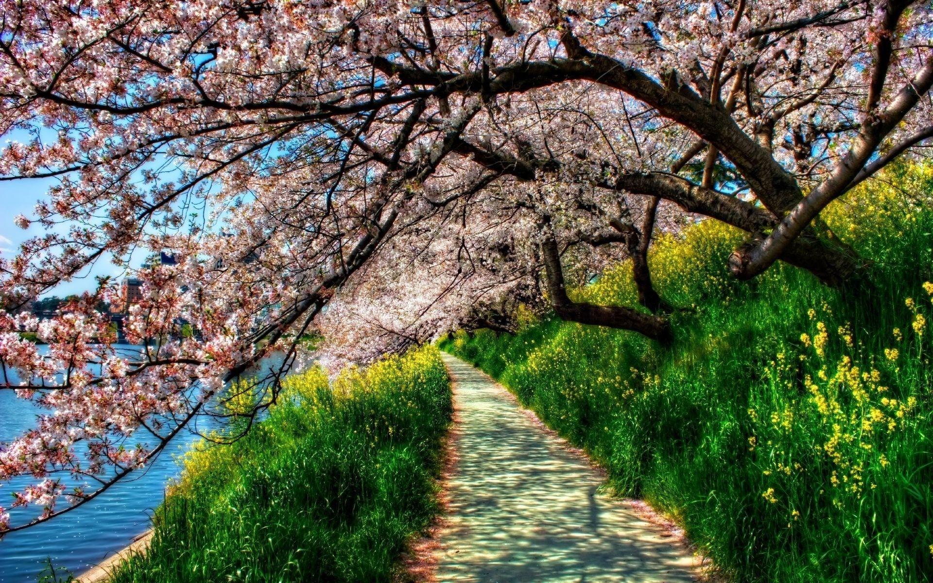 Spring 1920 X 1200 Wallpapers - Top Free Spring 1920 X 1200 Backgrounds ...