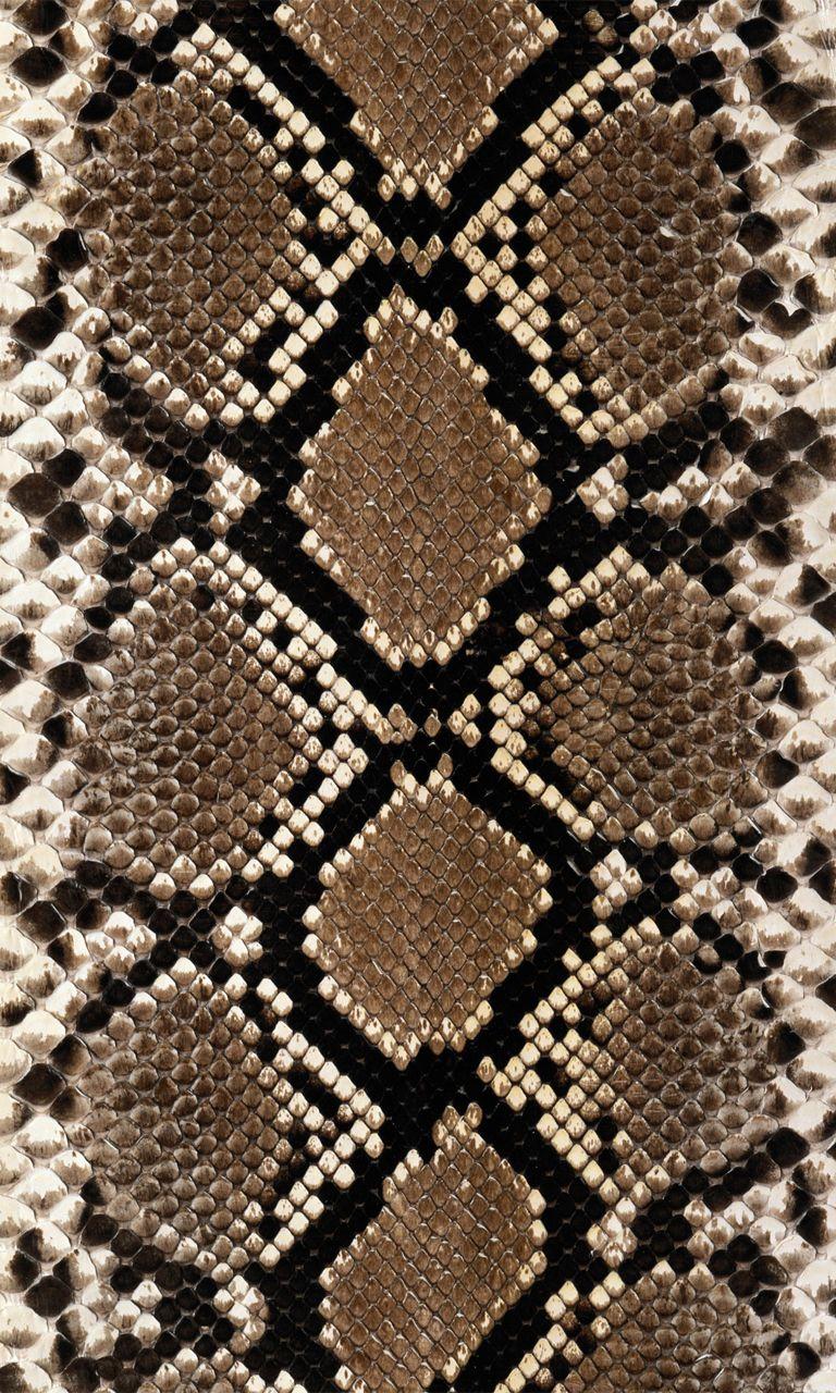 Snake Skin Wallpapers - Top Free Snake Skin Backgrounds - WallpaperAccess