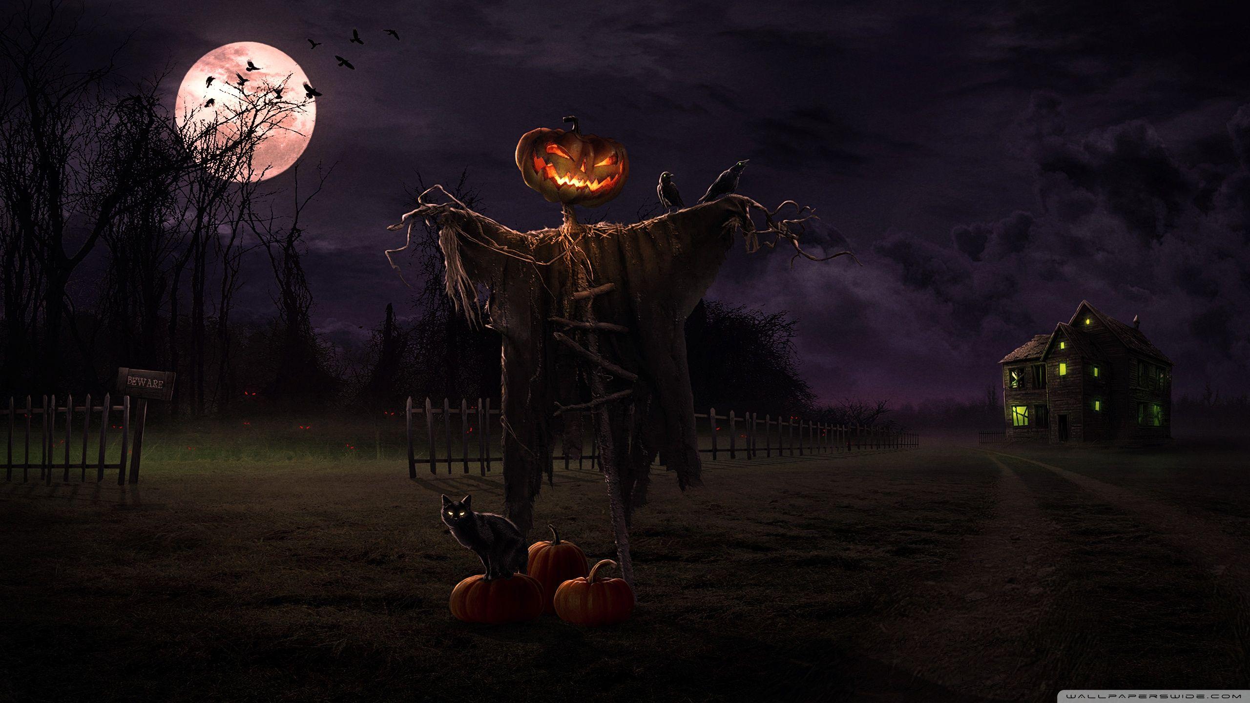 Halloween 4K Ultra HD Wallpapers - Top Free Halloween 4K Ultra HD ...