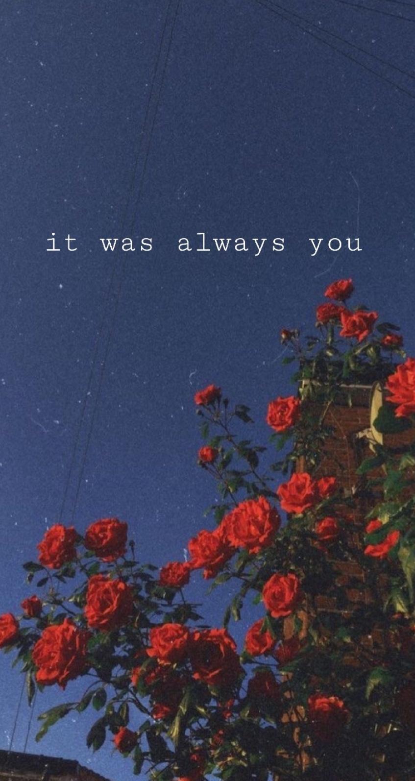 Aesthetic Music Wallpapers - Top Free Aesthetic Music Backgrounds ...