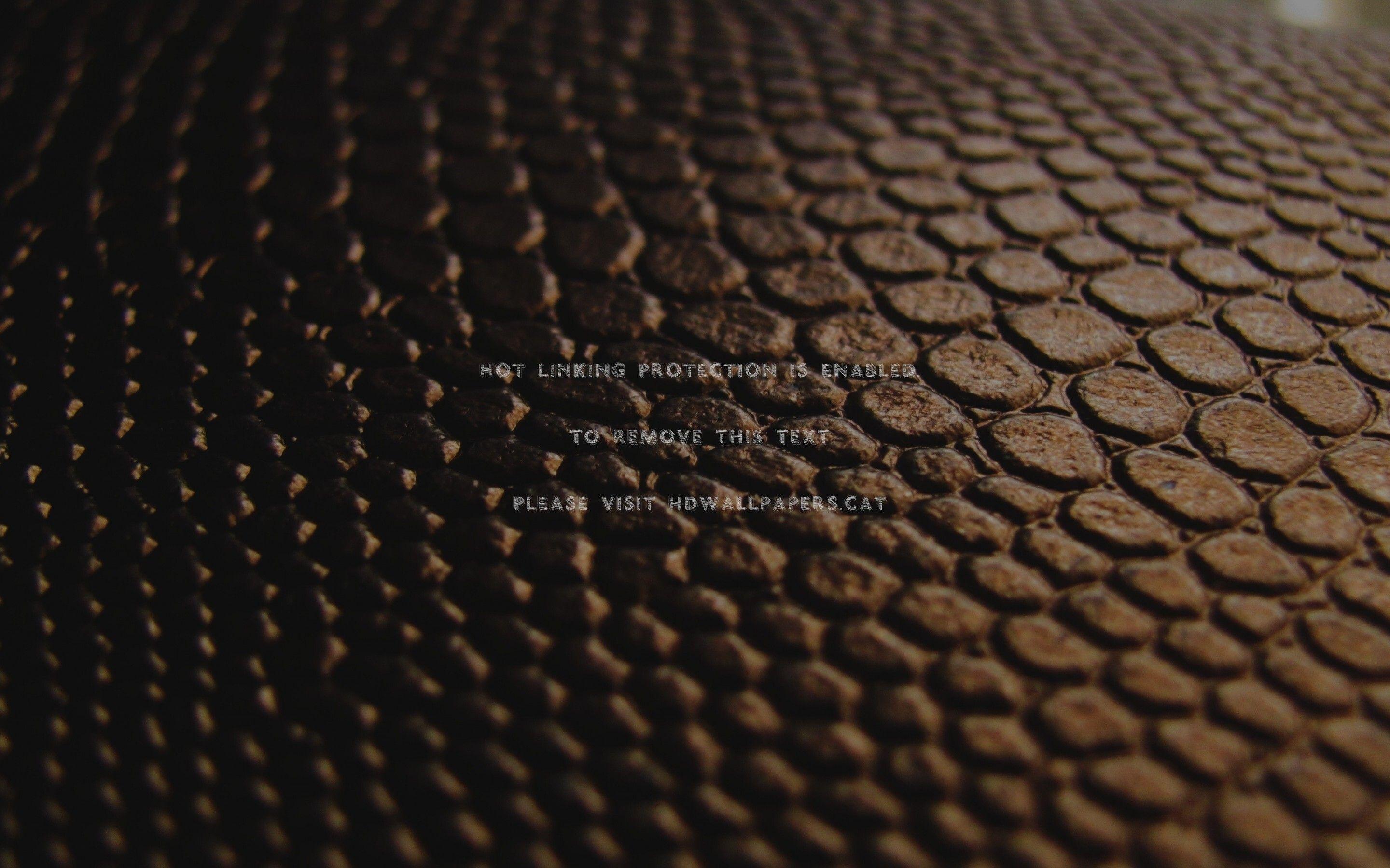 Snake Skin Wallpapers - Top Free Snake Skin Backgrounds - WallpaperAccess