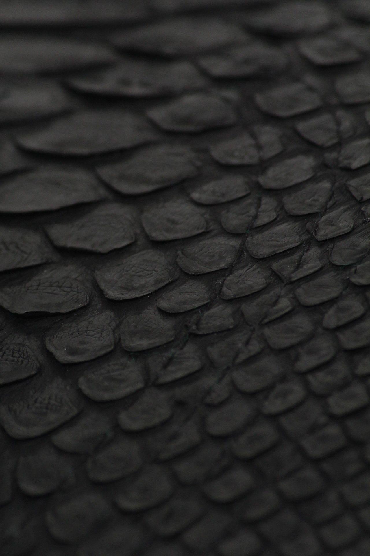 Snake Skin Wallpapers - Top Free Snake Skin Backgrounds - WallpaperAccess