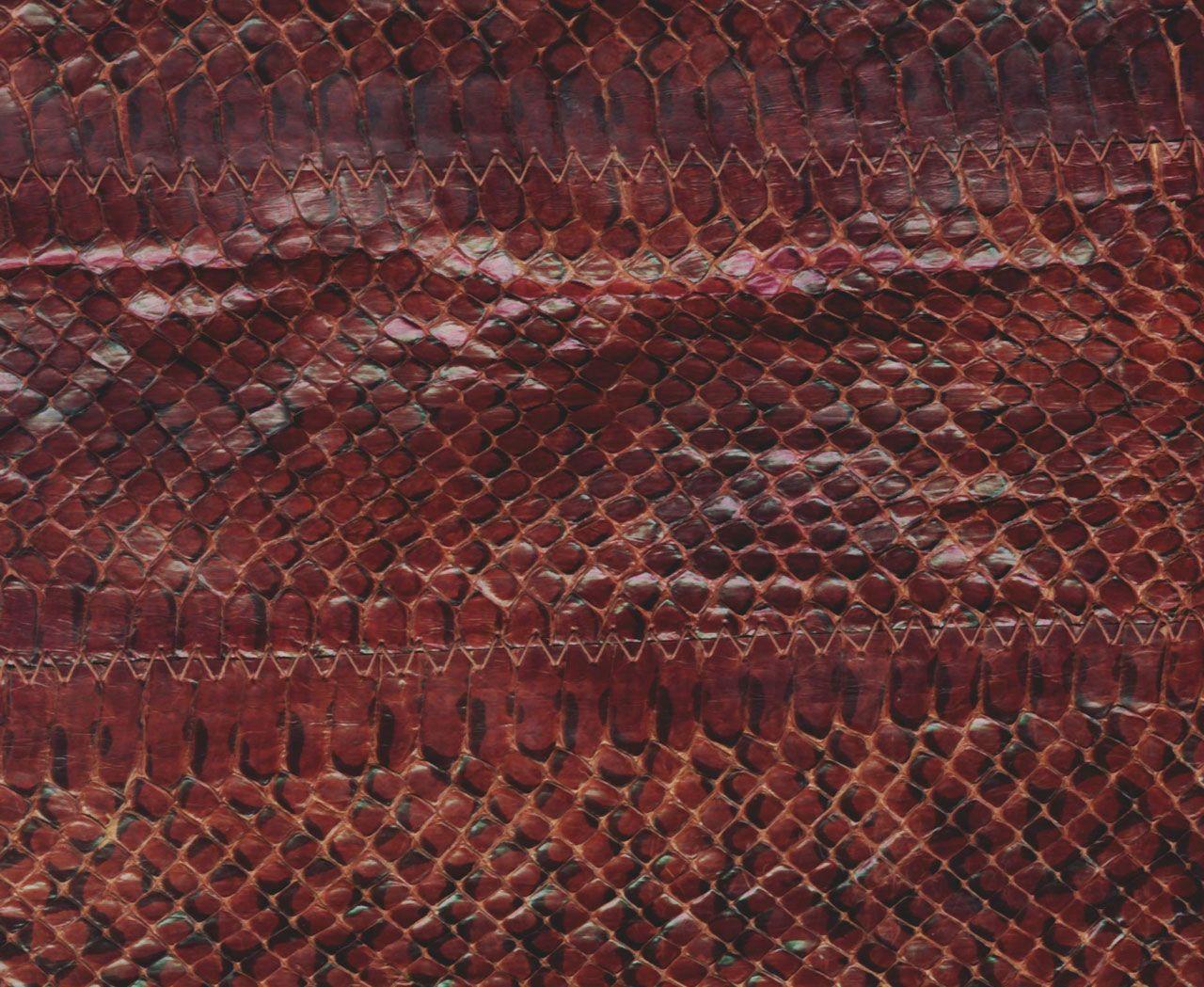 Snake Skin Wallpapers - Top Free Snake Skin Backgrounds - WallpaperAccess