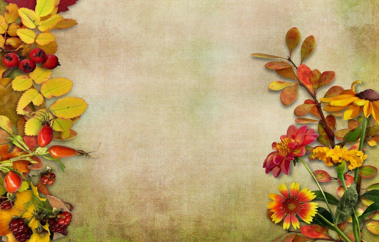 Autumn Flowers Desktop Wallpapers - Top Free Autumn Flowers Desktop ...