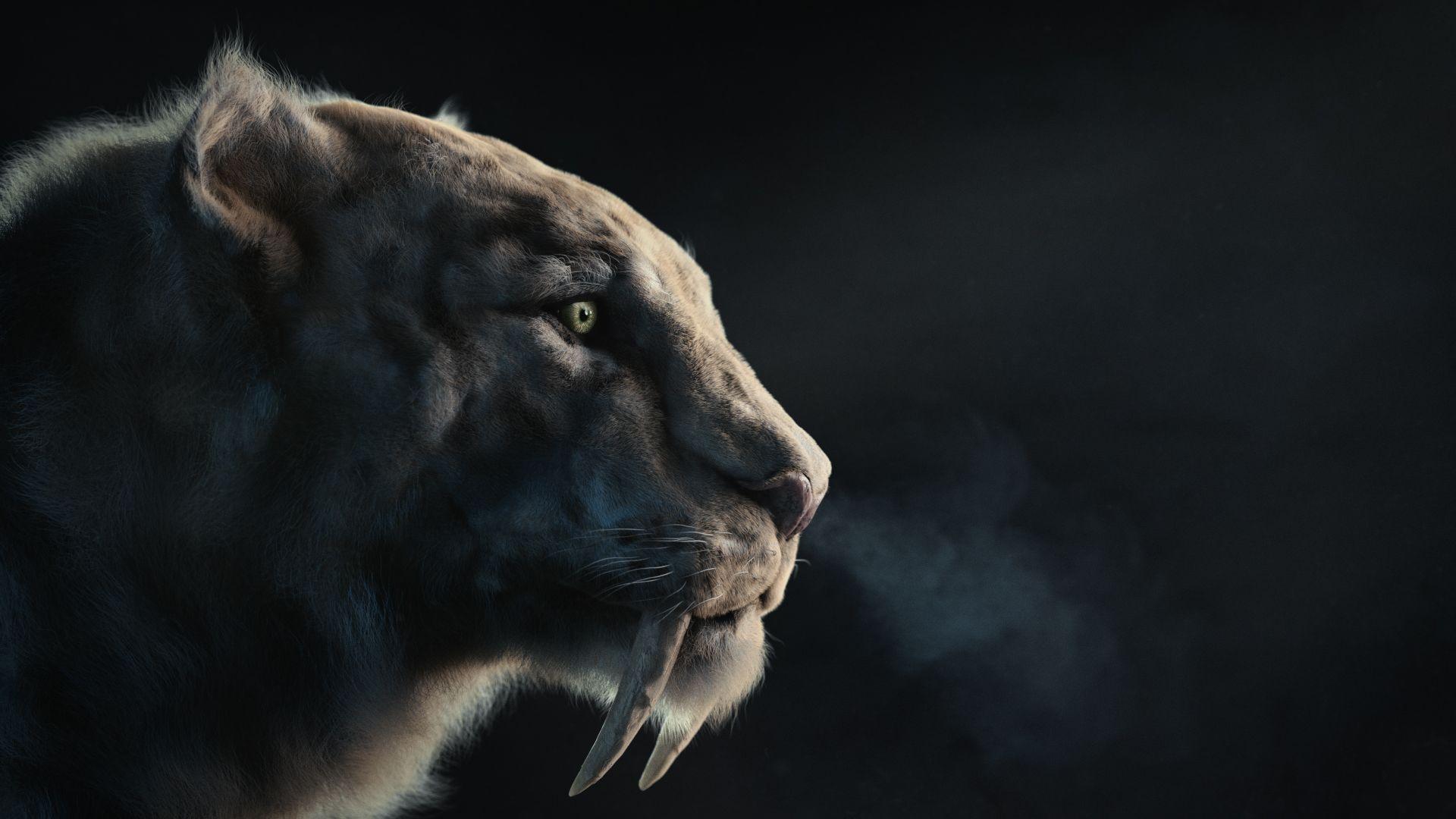 Sabertooth Wallpapers - Top Free Sabertooth Backgrounds - WallpaperAccess