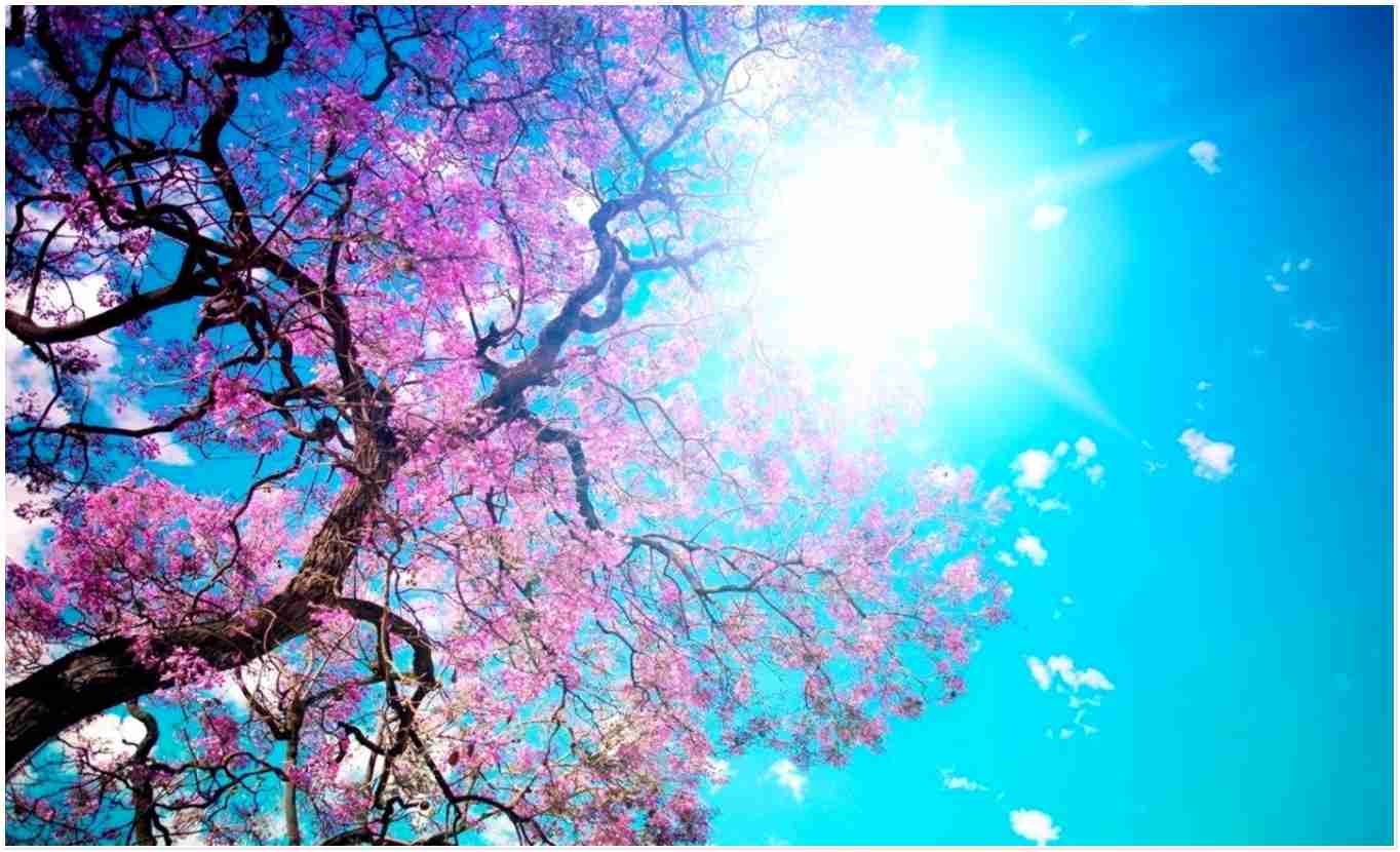 Best Computer Wallpapers - Top Free Best Computer Backgrounds ...