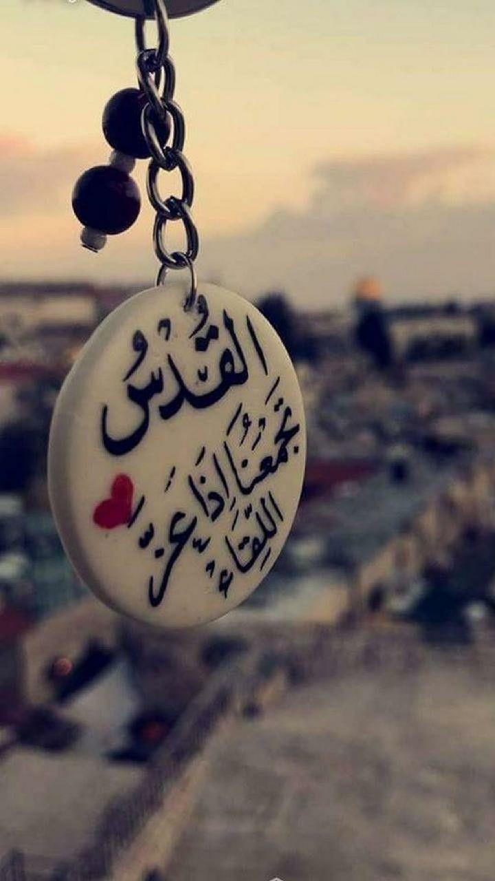 Gaza Wallpapers - Top Free Gaza Backgrounds - WallpaperAccess