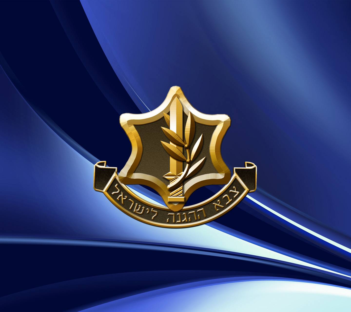 IDF Wallpapers - Top Free IDF Backgrounds - WallpaperAccess