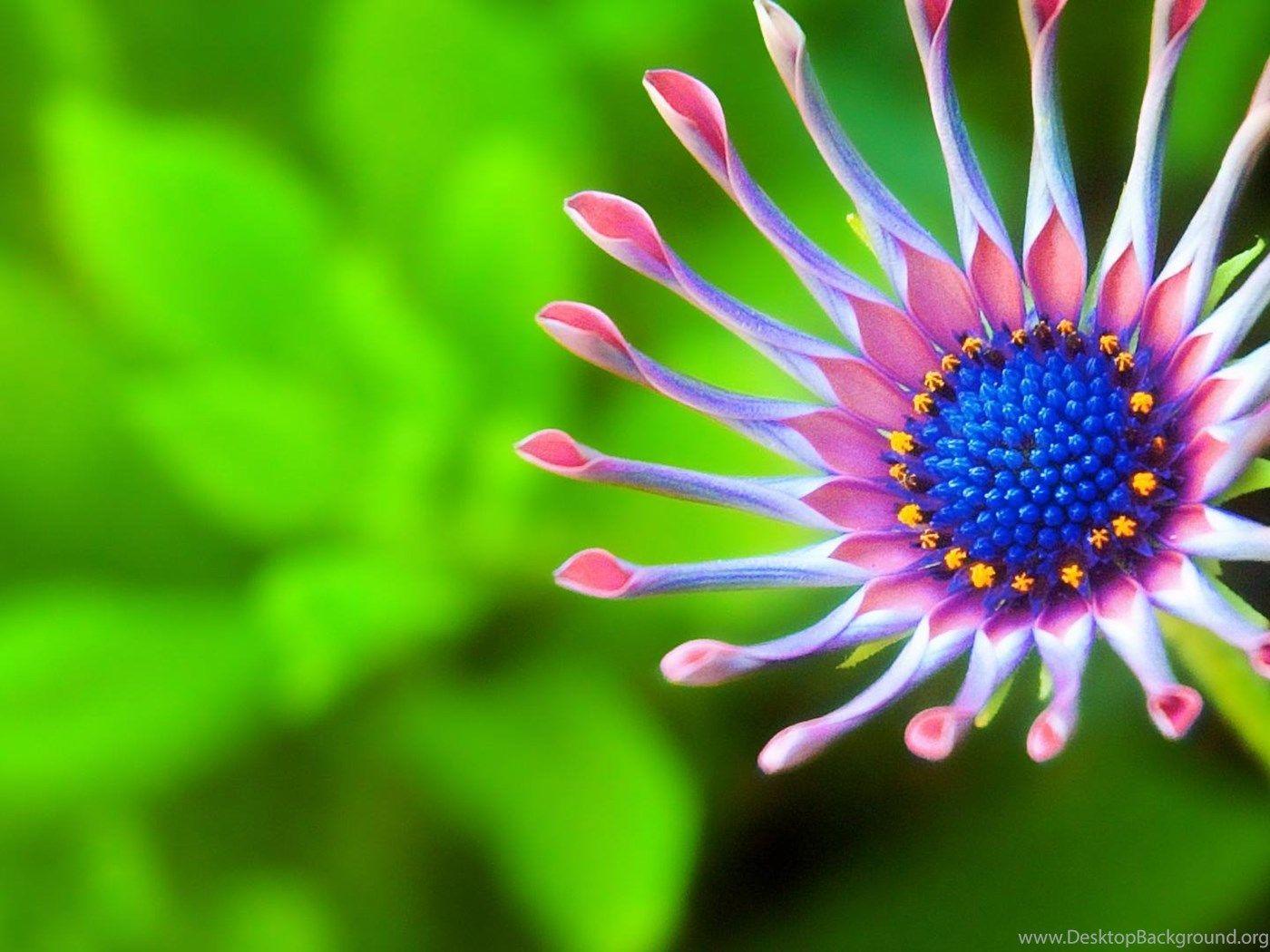 Brilliant Wallpapers - Top Free Brilliant Backgrounds - WallpaperAccess