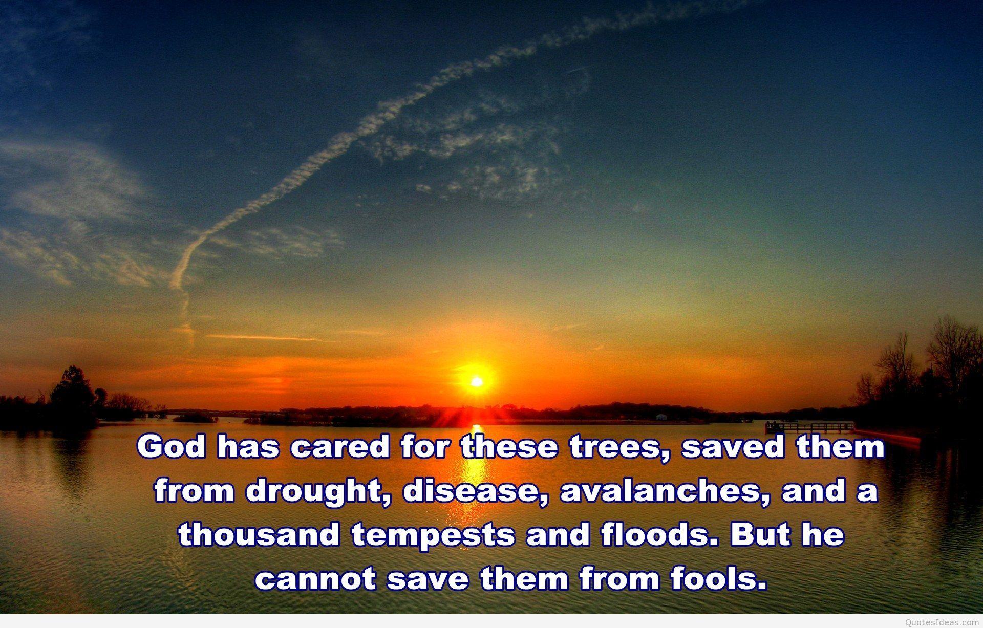 Nature Quotes Wallpapers - Top Free Nature Quotes Backgrounds ...
