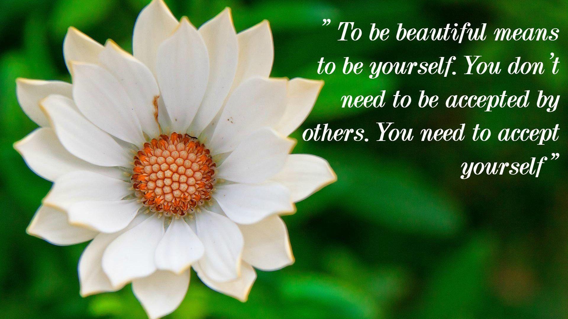 Nature Quotes Wallpapers - Top Free Nature Quotes Backgrounds ...