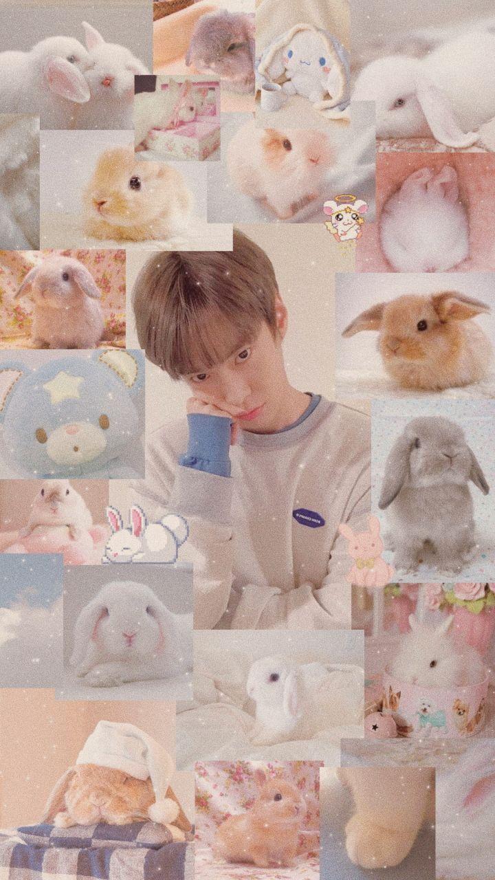 Aesthetic Bunny Wallpapers - Top Free Aesthetic Bunny Backgrounds ...