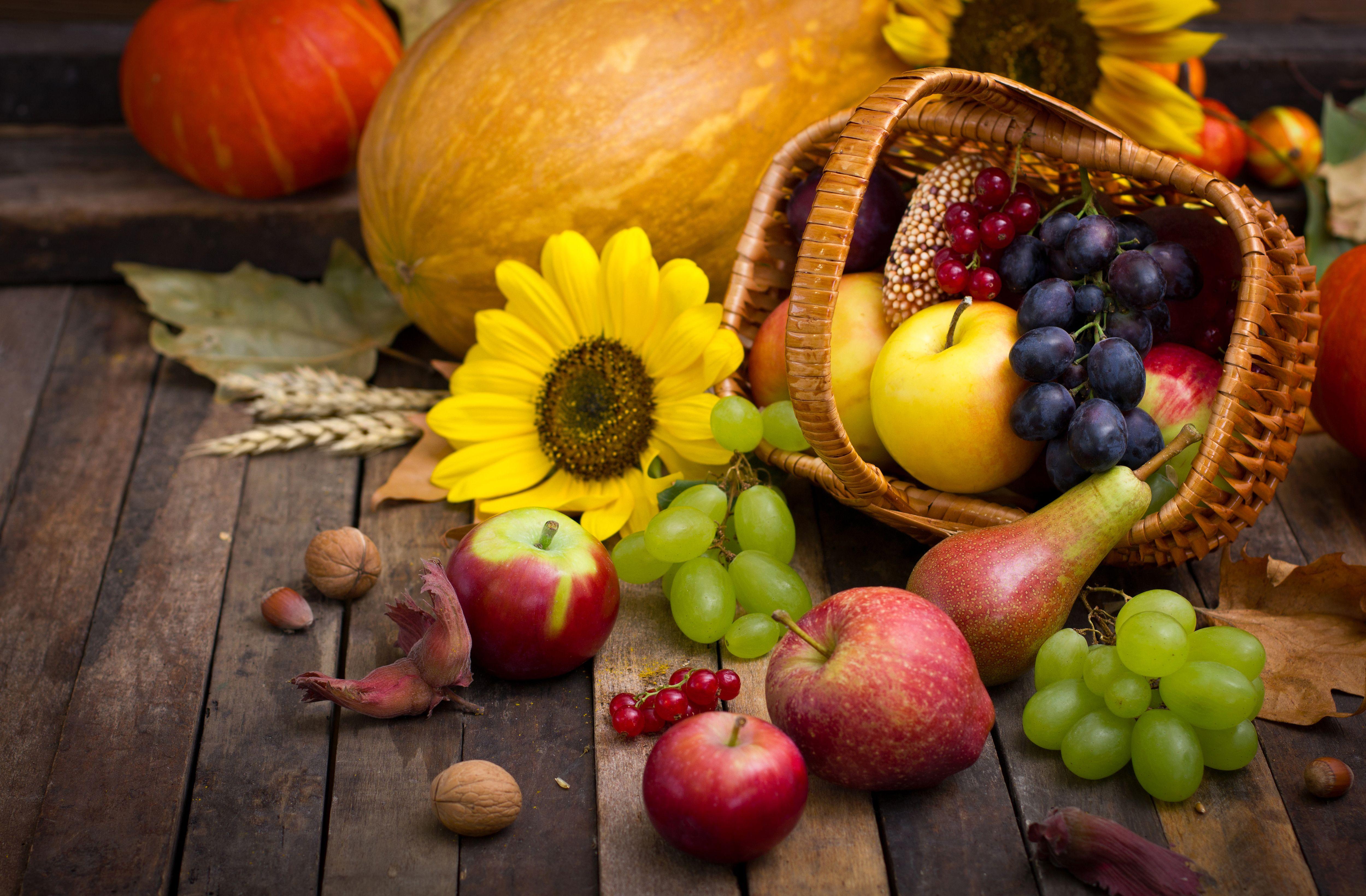 Autumn Fruit Wallpapers - Top Free Autumn Fruit Backgrounds ...