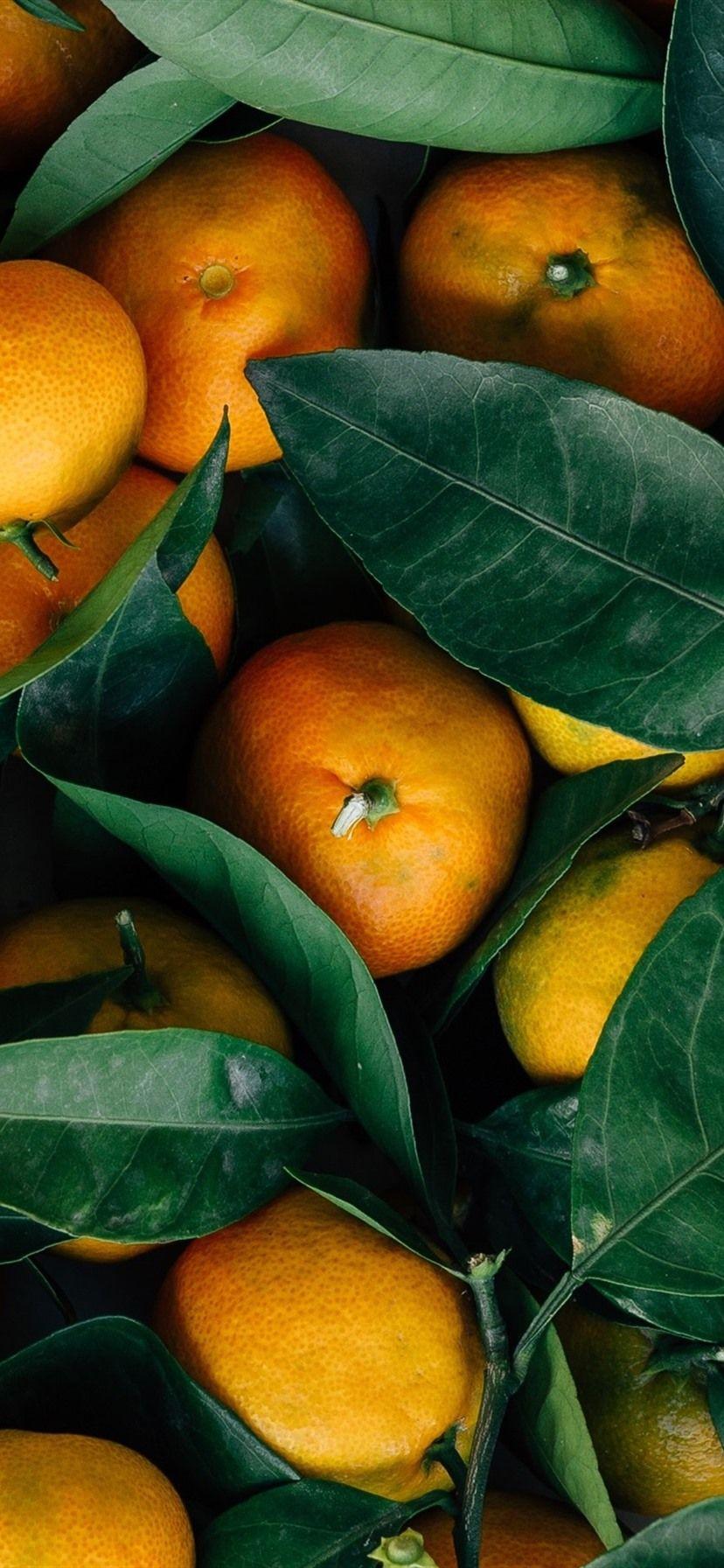 Autumn Fruit Wallpapers - Top Free Autumn Fruit Backgrounds ...