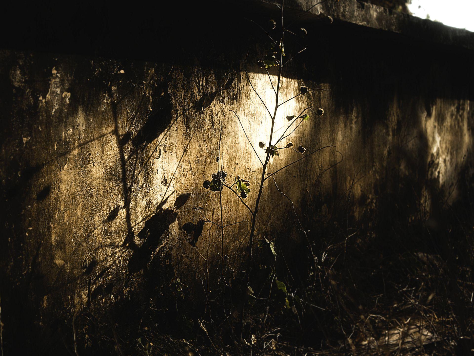 Shadows Wallpapers - Top Free Shadows Backgrounds - WallpaperAccess