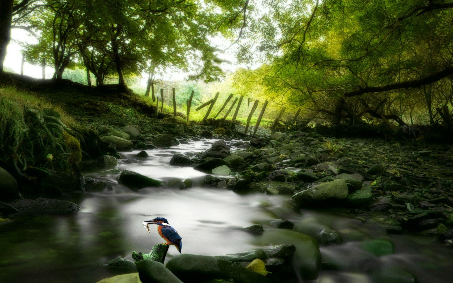 Streams Wallpapers - Top Free Streams Backgrounds - WallpaperAccess