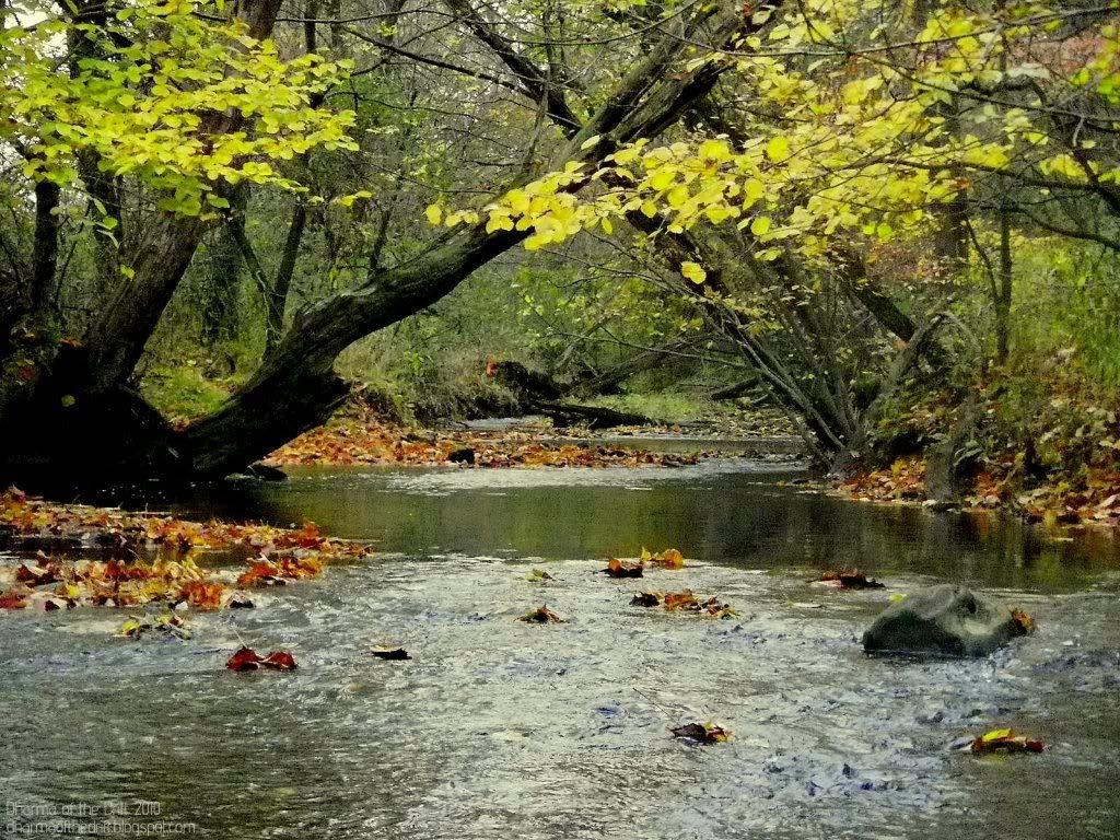 Streams Wallpapers - Top Free Streams Backgrounds - WallpaperAccess