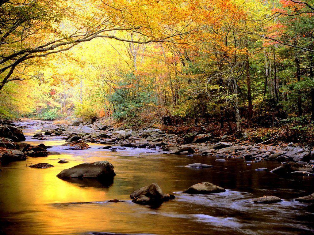 Streams Wallpapers - Top Free Streams Backgrounds - WallpaperAccess