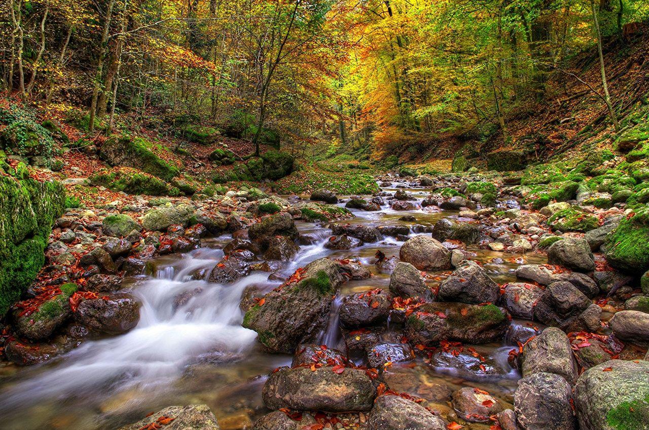 Autumn Stream Wallpapers - Top Free Autumn Stream Backgrounds ...