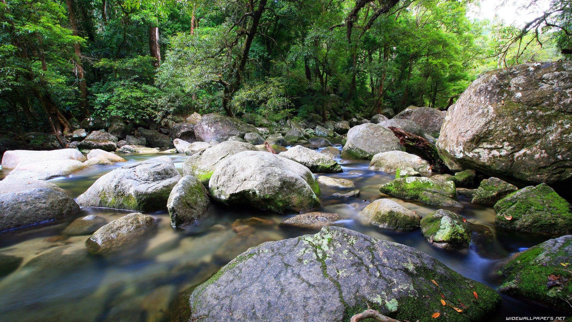 Streams Wallpapers - Top Free Streams Backgrounds - WallpaperAccess