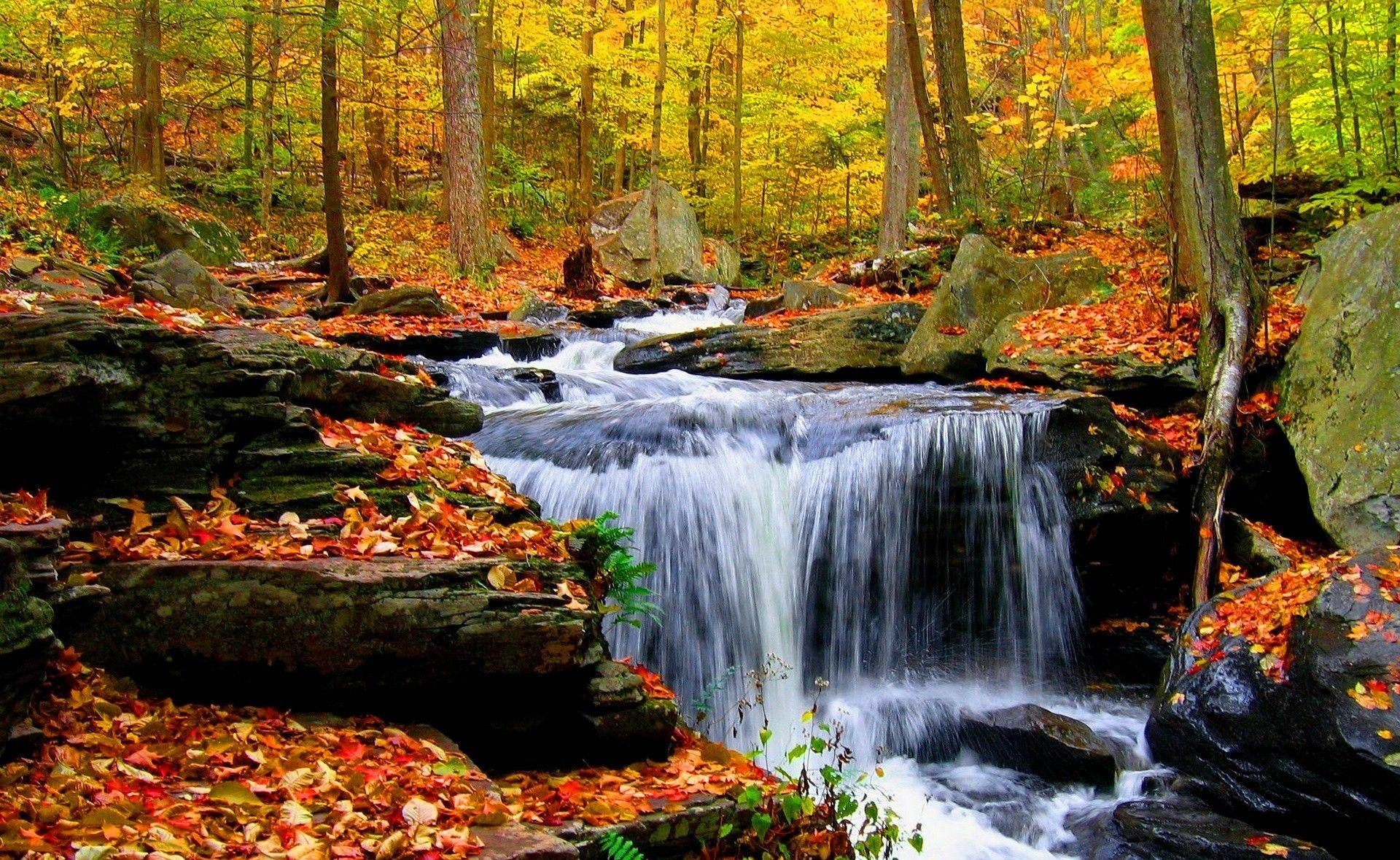 Autumn Stream Wallpapers - Top Free Autumn Stream Backgrounds ...