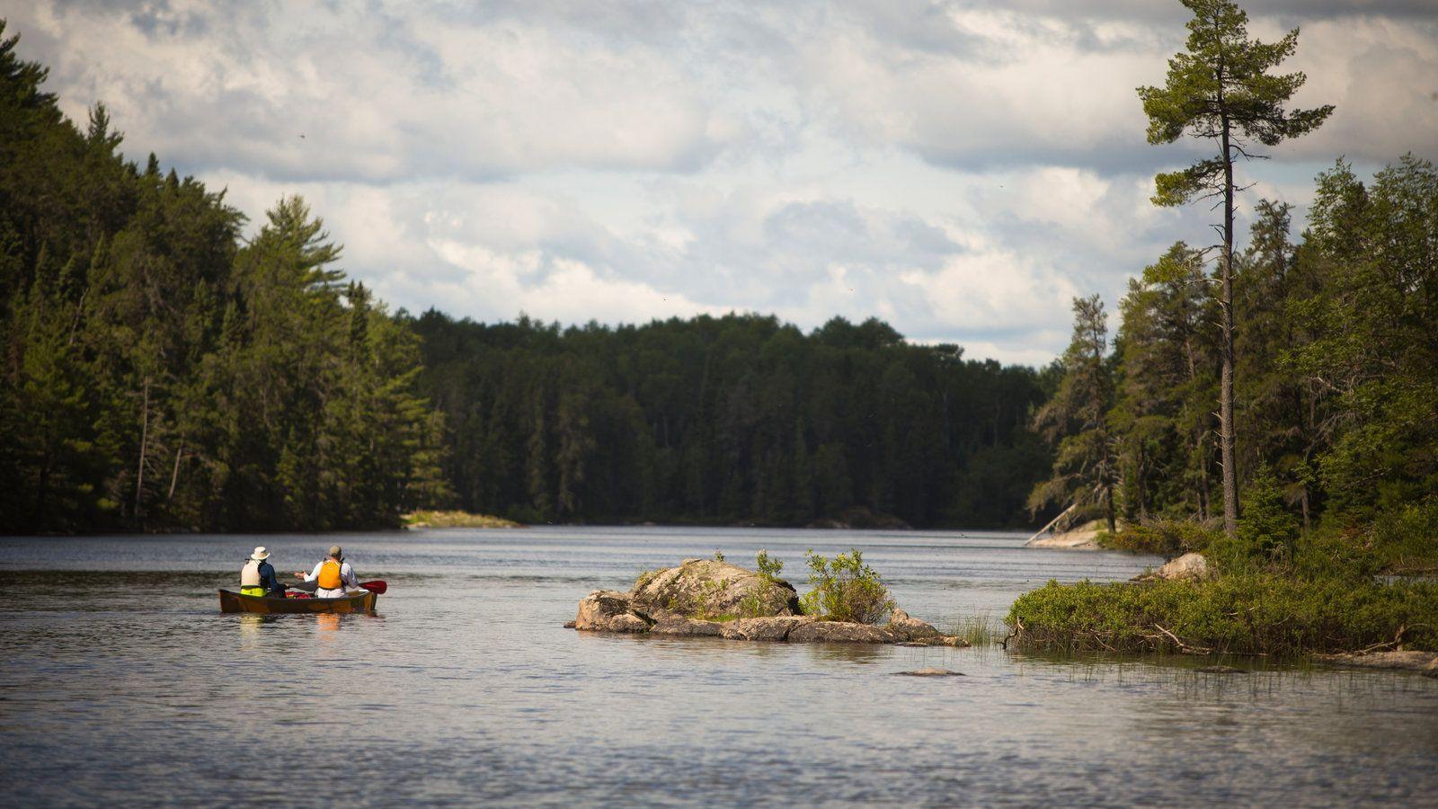 BWCA Wallpapers - Top Free BWCA Backgrounds - WallpaperAccess