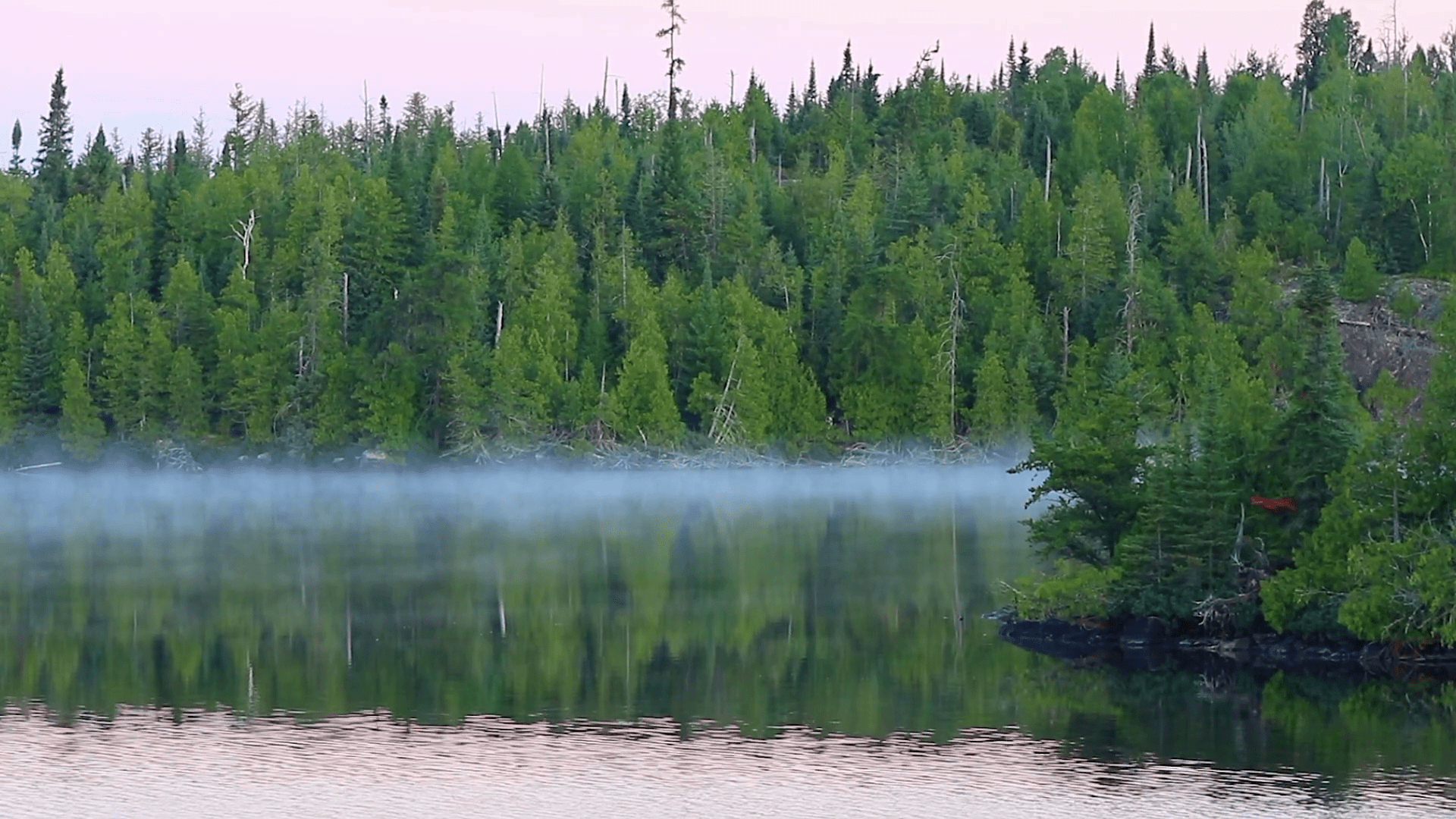 BWCA Wallpapers - Top Free BWCA Backgrounds - WallpaperAccess