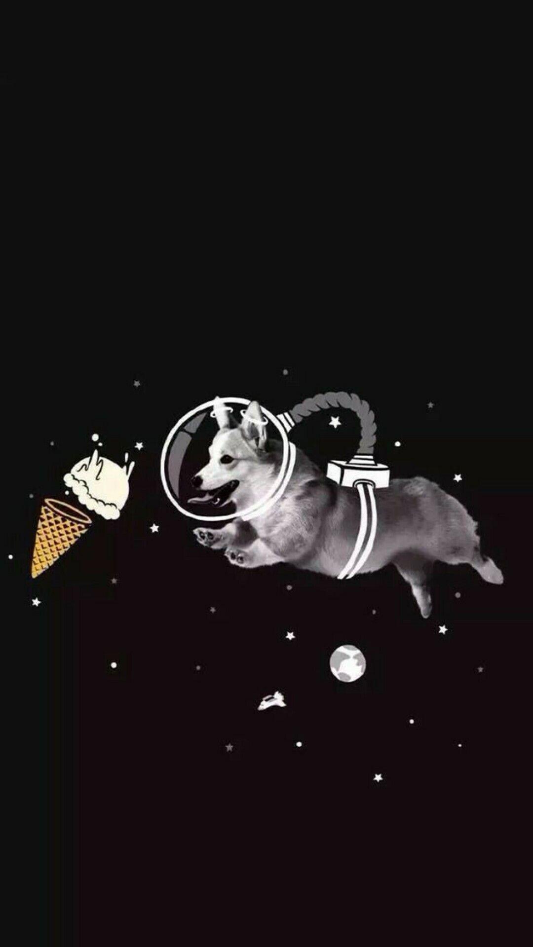 Minimal Dog Wallpapers - Top Free Minimal Dog Backgrounds - WallpaperAccess