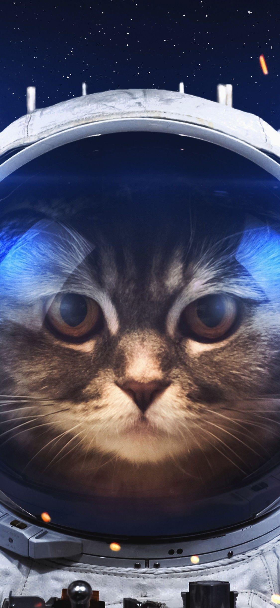 Dog Astronaut Wallpapers - Top Free Dog Astronaut Backgrounds ...