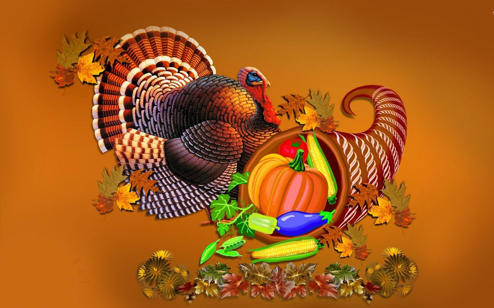 Cornucopia Wallpapers - Top Free Cornucopia Backgrounds - WallpaperAccess